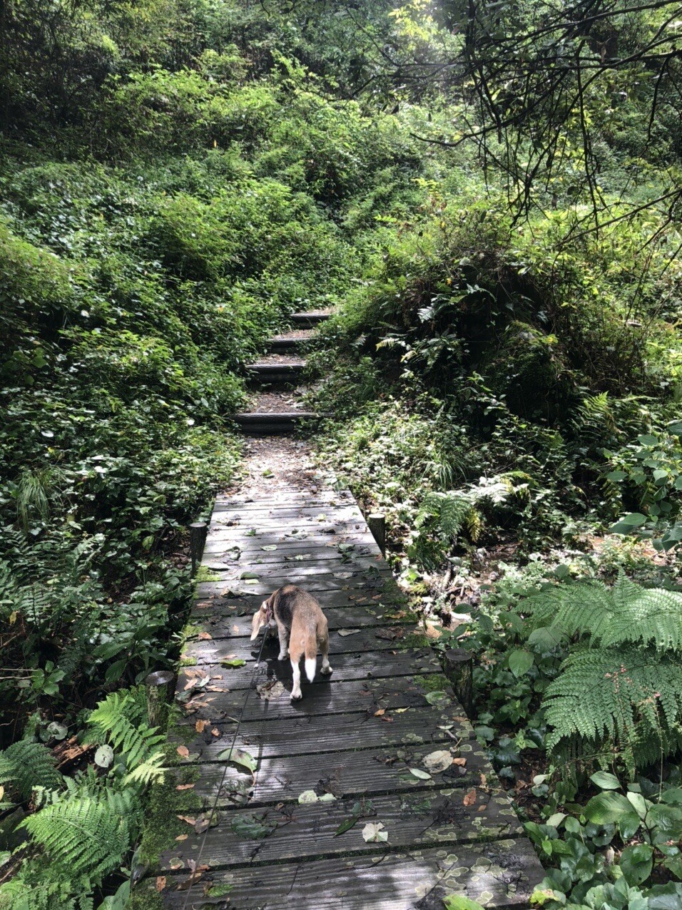 めるたん楽しそうでした！ / めるたんさんのモーメント | YAMAP / ヤマップ