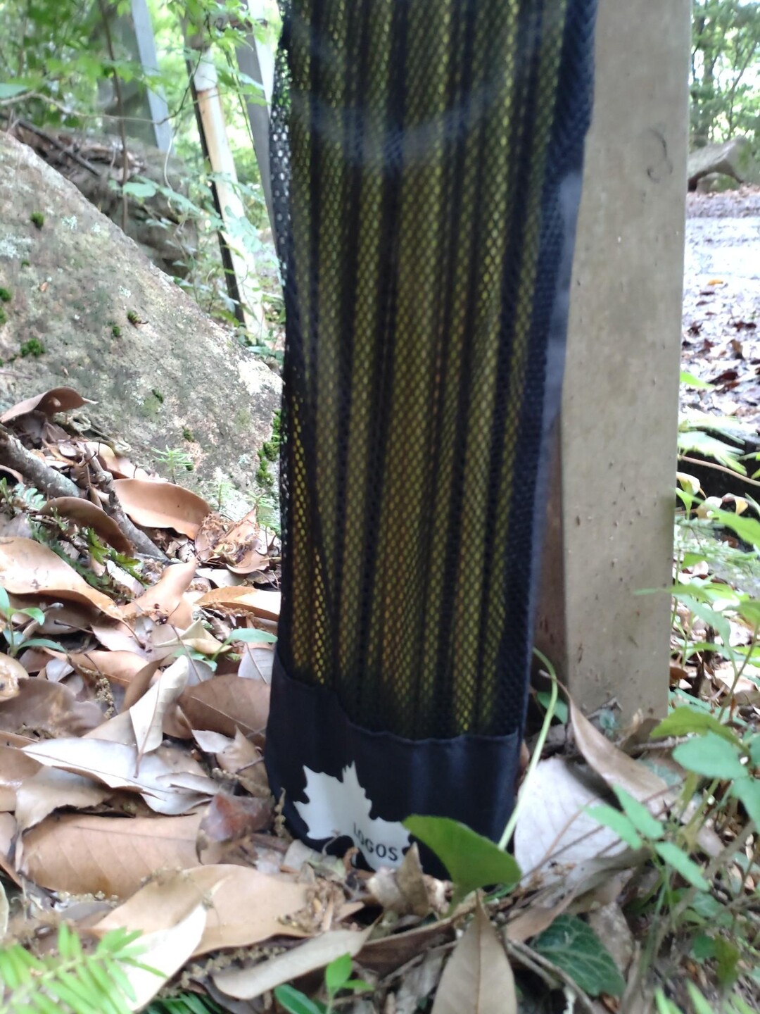 落とし物【ロゴスのテントポール】坊主尾根にて / migiponさんの大崩山・五葉岳・新百姓山の活動データ | YAMAP / ヤマップ