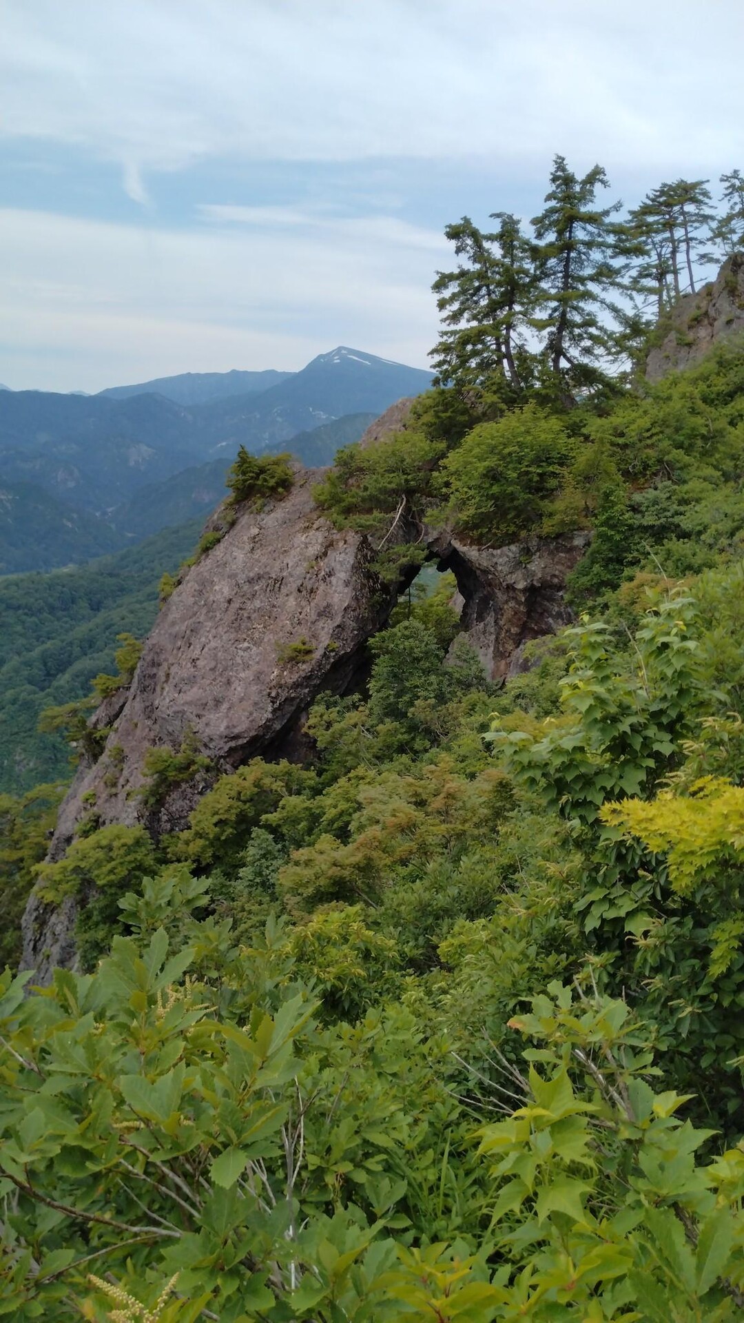 蒲生岳 / type52さんの蒲生岳の活動データ | YAMAP / ヤマップ