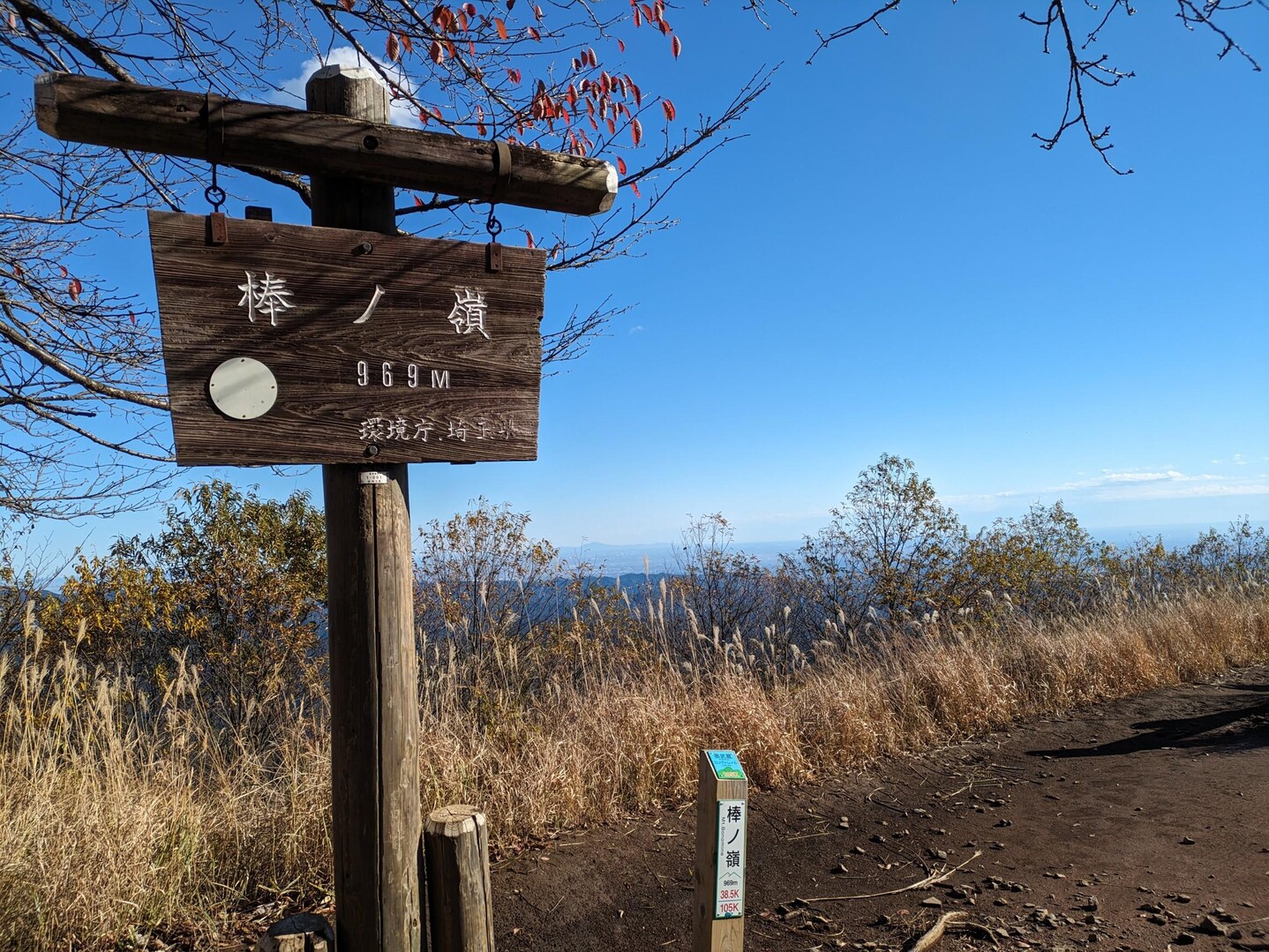 棒ノ嶺（棒ノ折山）・黒山・逆川ノ丸・興越山・岩茸石山・馬仏山・惣岳山 / kamoさんの棒ノ折山（棒ノ嶺）の活動データ | YAMAP / ヤマップ