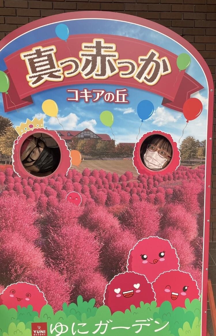 今週は⛰️お休みです、🐈コキアが見頃ら... / 山アヒルRさんのモーメント | YAMAP / ヤマップ