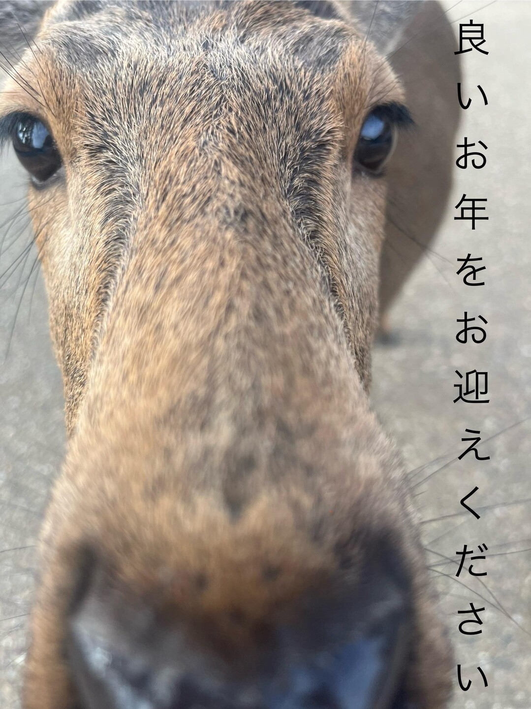 2023.12.29(金) 08:25 / さゆさんのモーメント | YAMAP / ヤマップ