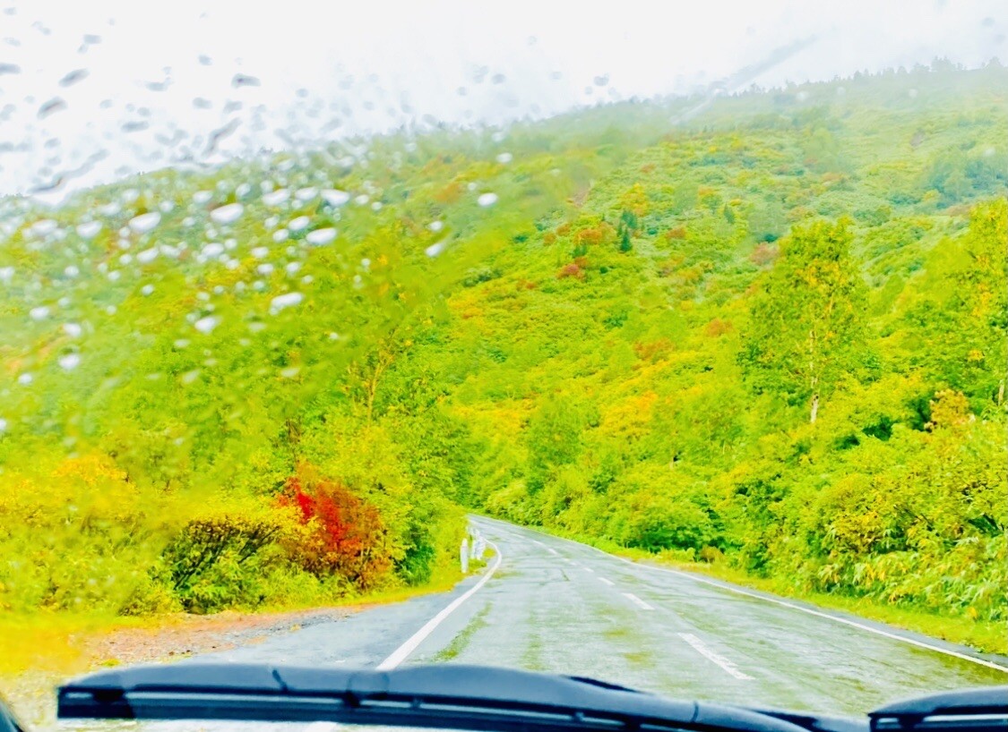 【youtube】https://you... / 照らすさんのモーメント | YAMAP / ヤマップ