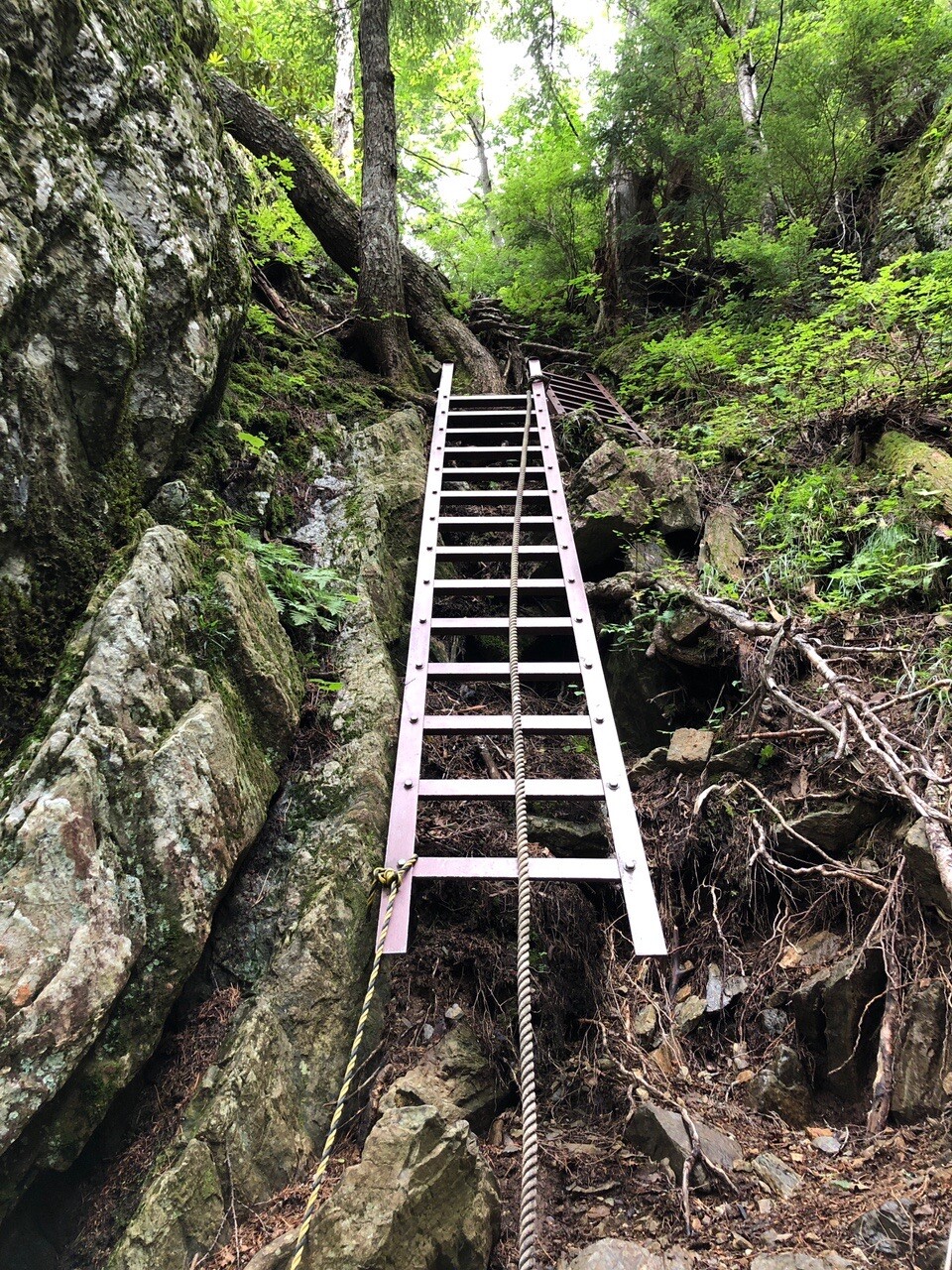 MKさんの投稿したフィールドメモ | YAMAP / ヤマップ