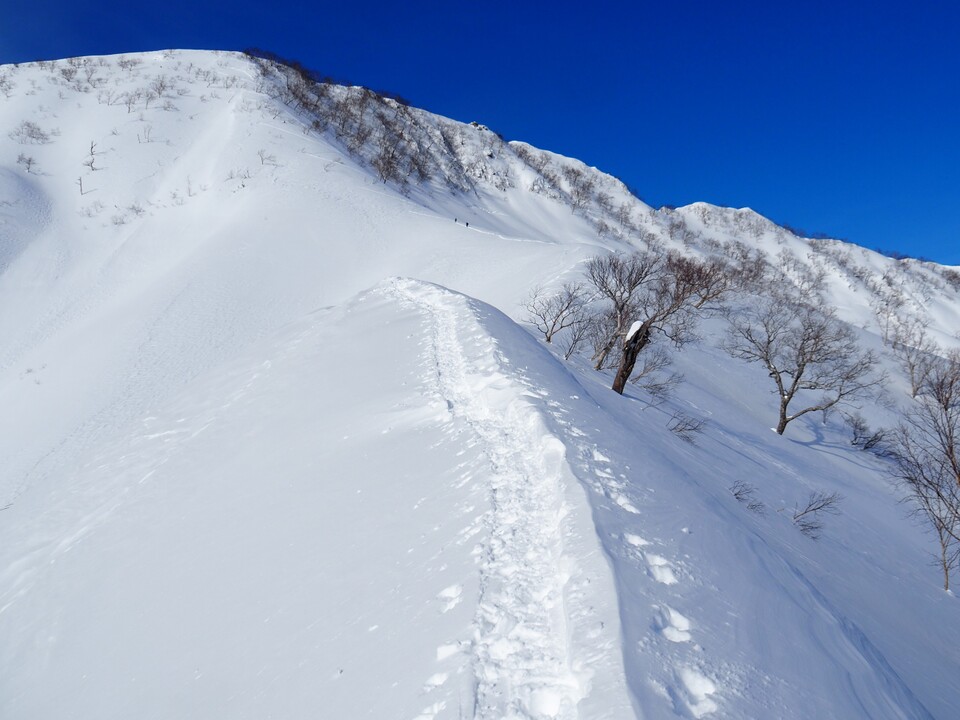 戸隠キャンプ場バス停-高妻山 往復コースの地図・登山ルート・登山口情報 | YAMAP / ヤマップ