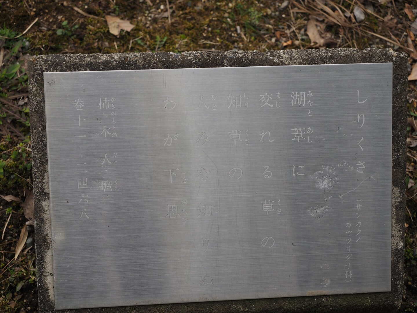 2015年3月中旬の万葉の森・船岡山シ... / sensaさんのモーメント | YAMAP / ヤマップ