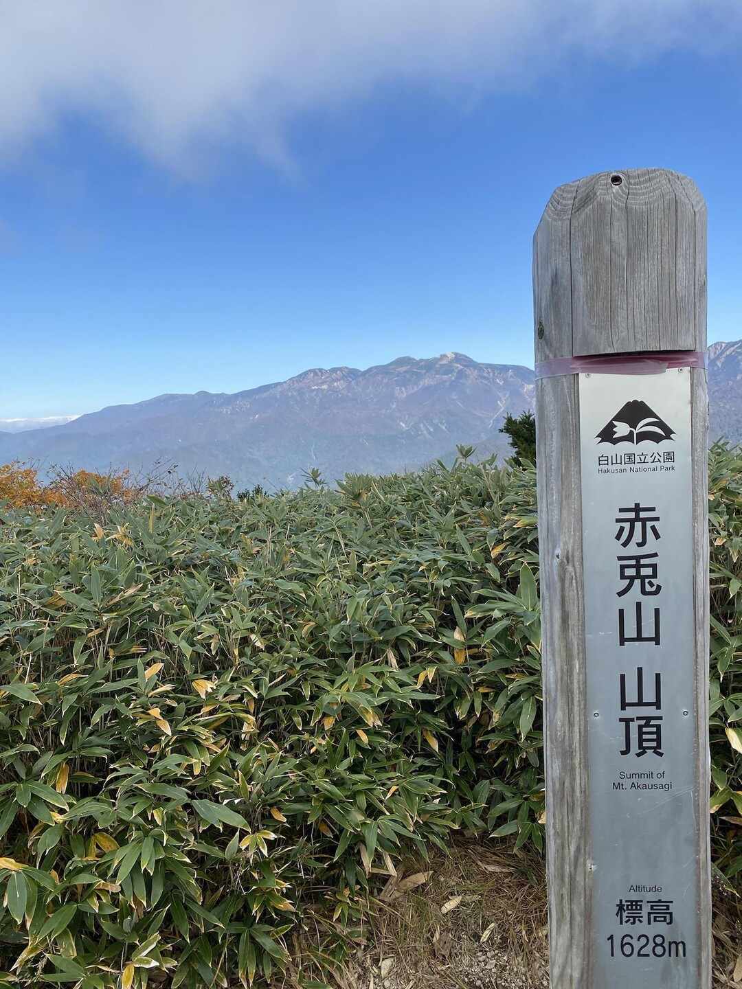 赤兎山 / Shigexさんの赤兎山・猪鼻山の活動データ | YAMAP / ヤマップ