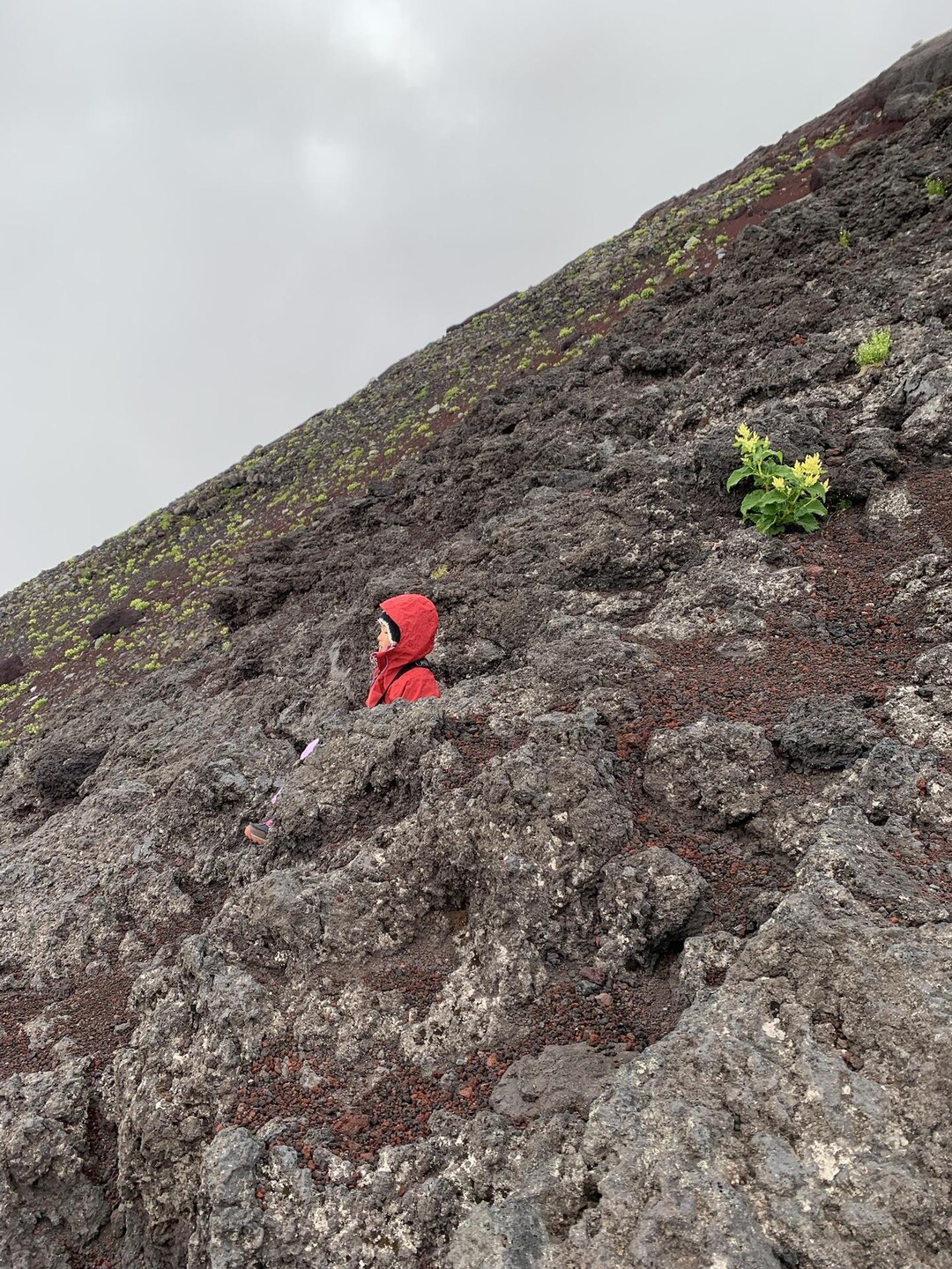なーちゃん7歳富士山への挑戦 3歳から... / ももこさんのモーメント | YAMAP / ヤマップ