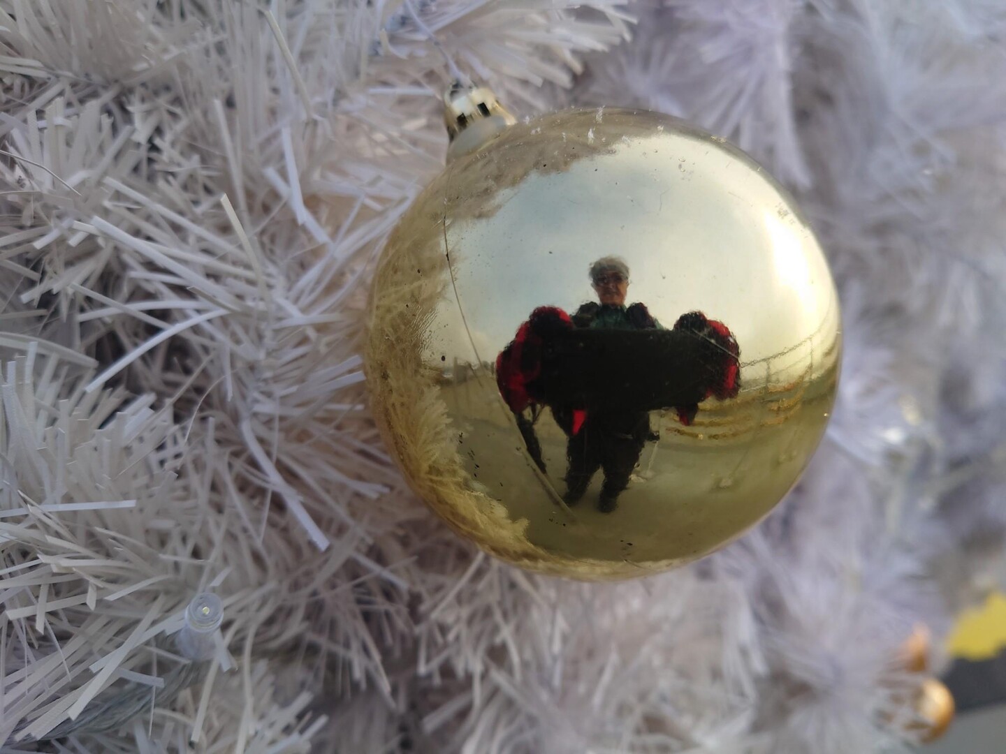 復活の落とし物 山鼻山・藻岩山 / Syoさんの札幌市の活動データ | YAMAP / ヤマップ