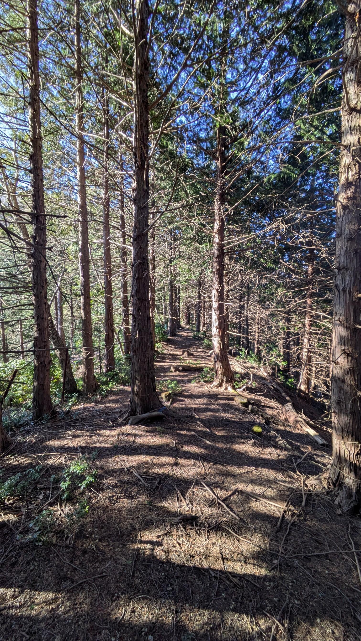 ko usさんの投稿したフィールドメモ | YAMAP / ヤマップ