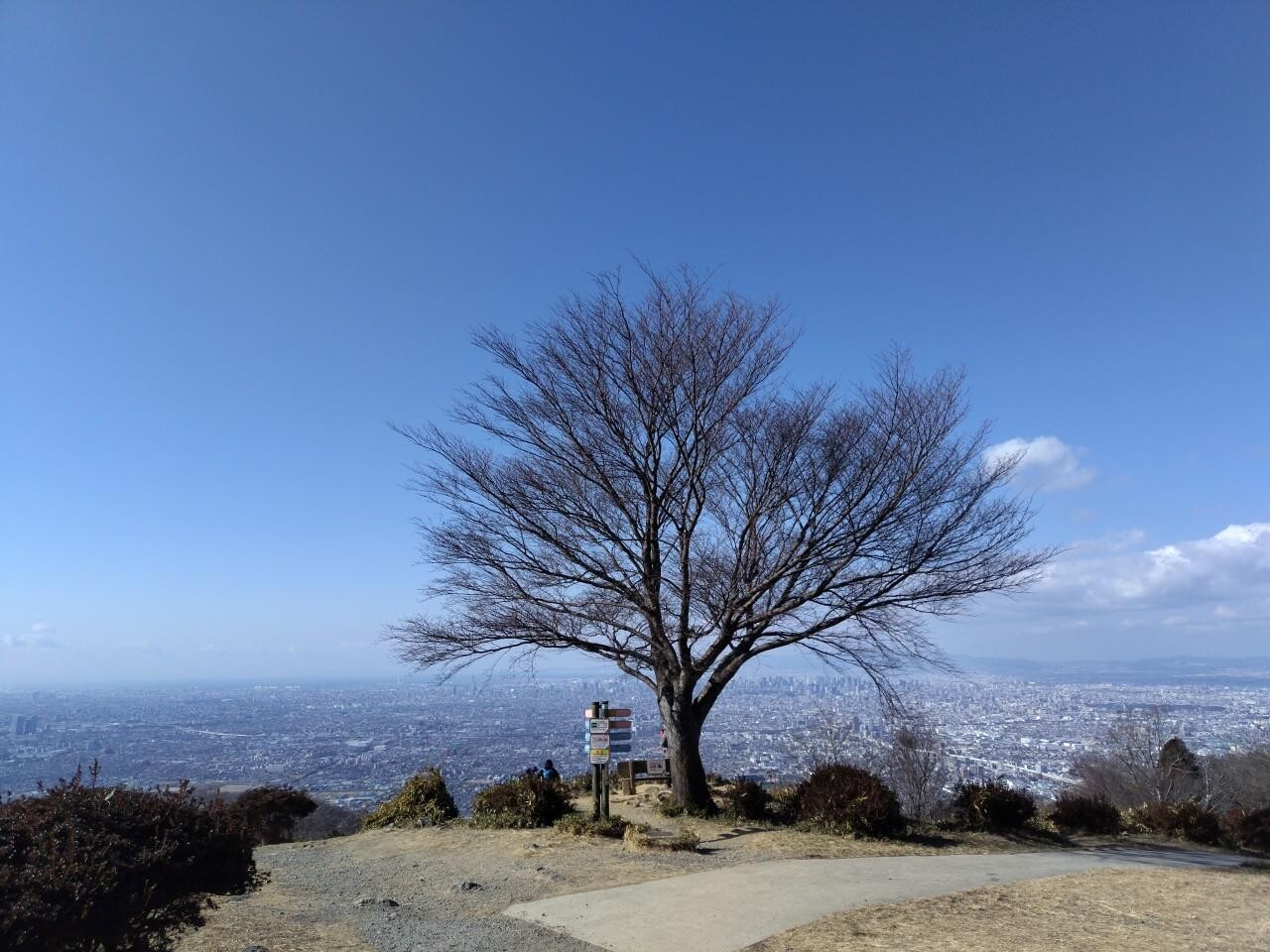 生駒山 / shigさんの生駒山・神津嶽・大原山の活動データ | YAMAP / ヤマップ