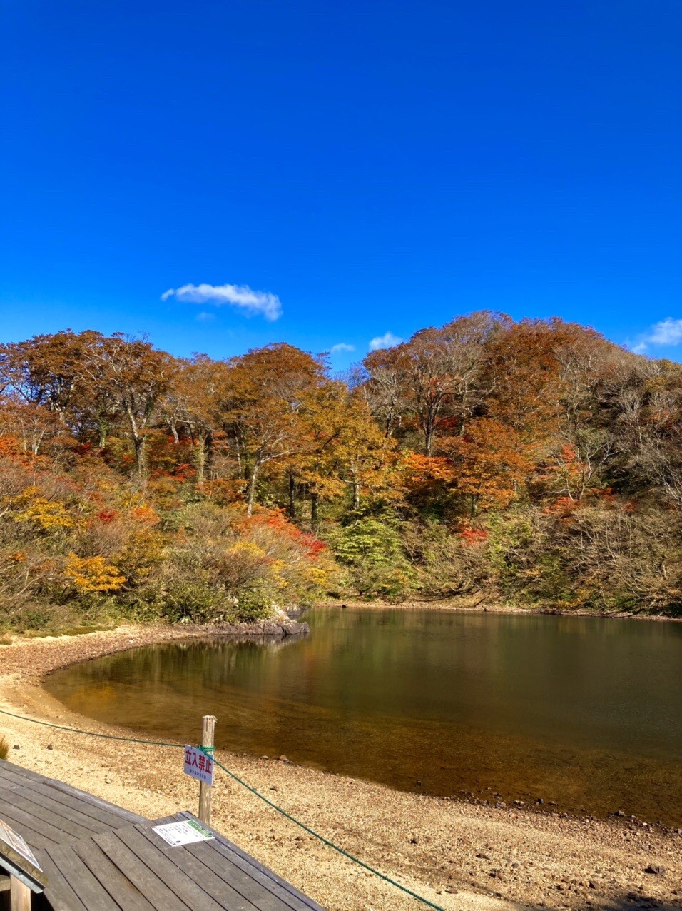 夜叉丸 / TADY.さんの夜叉ヶ池山・三周ヶ岳の活動データ | YAMAP / ヤマップ