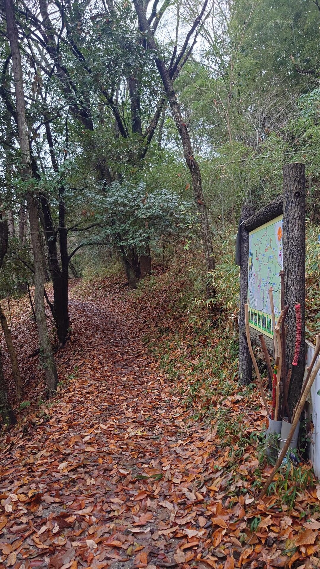福山breakfast2023.12.16 / masaeさんの福山・江田山・高鳥居山の活動データ | YAMAP / ヤマップ