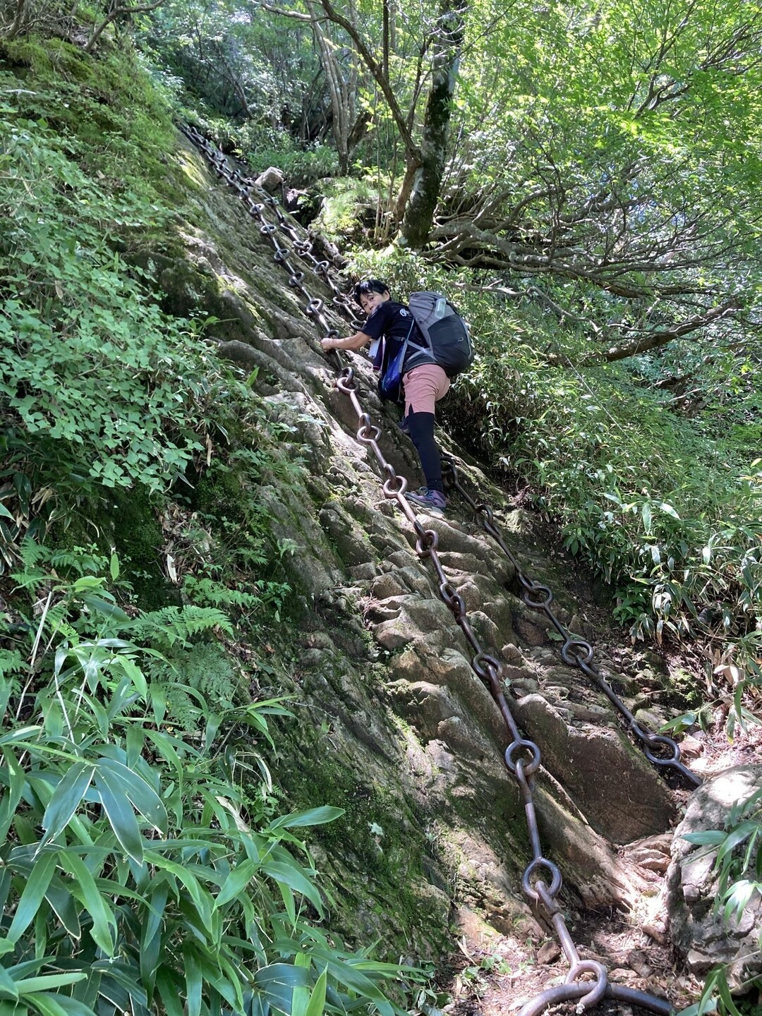 石鎚山 登頂できず😭 / gyamaさんの石鎚山・堂ヶ森・二ノ森の活動データ | YAMAP / ヤマップ
