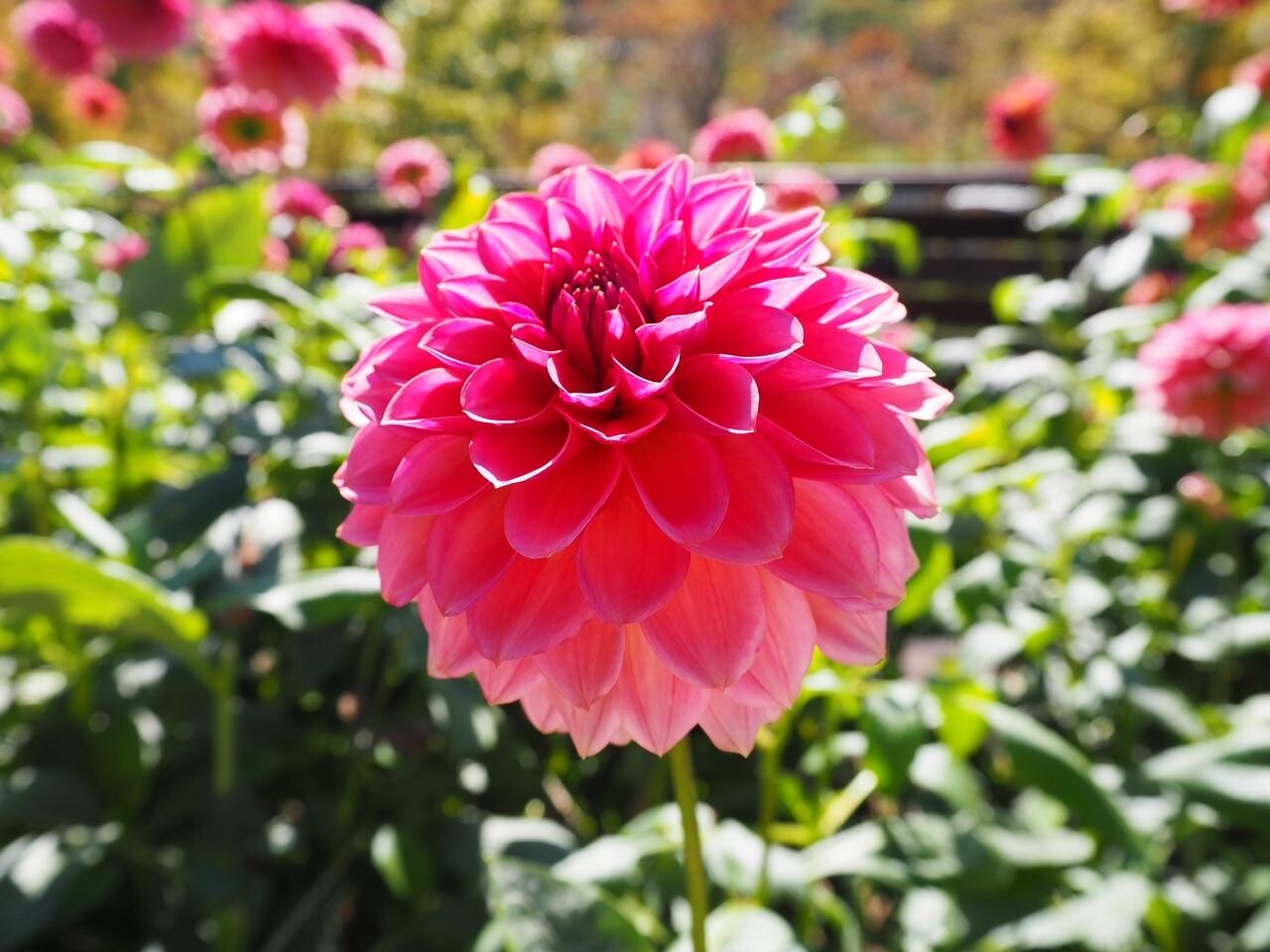 maruのページ | YAMAP / ヤマップ