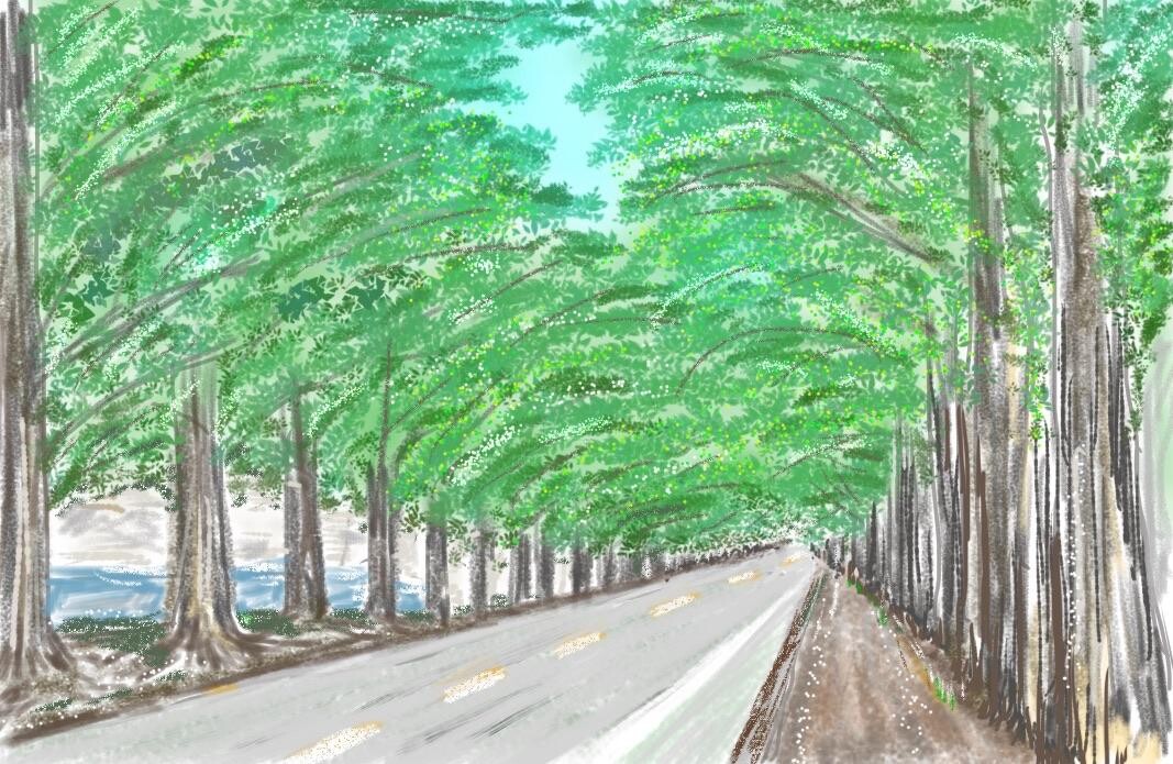 延びる道 覆い被さる 緑の葉 どこまでも... / clearkkさんのモーメント | YAMAP / ヤマップ