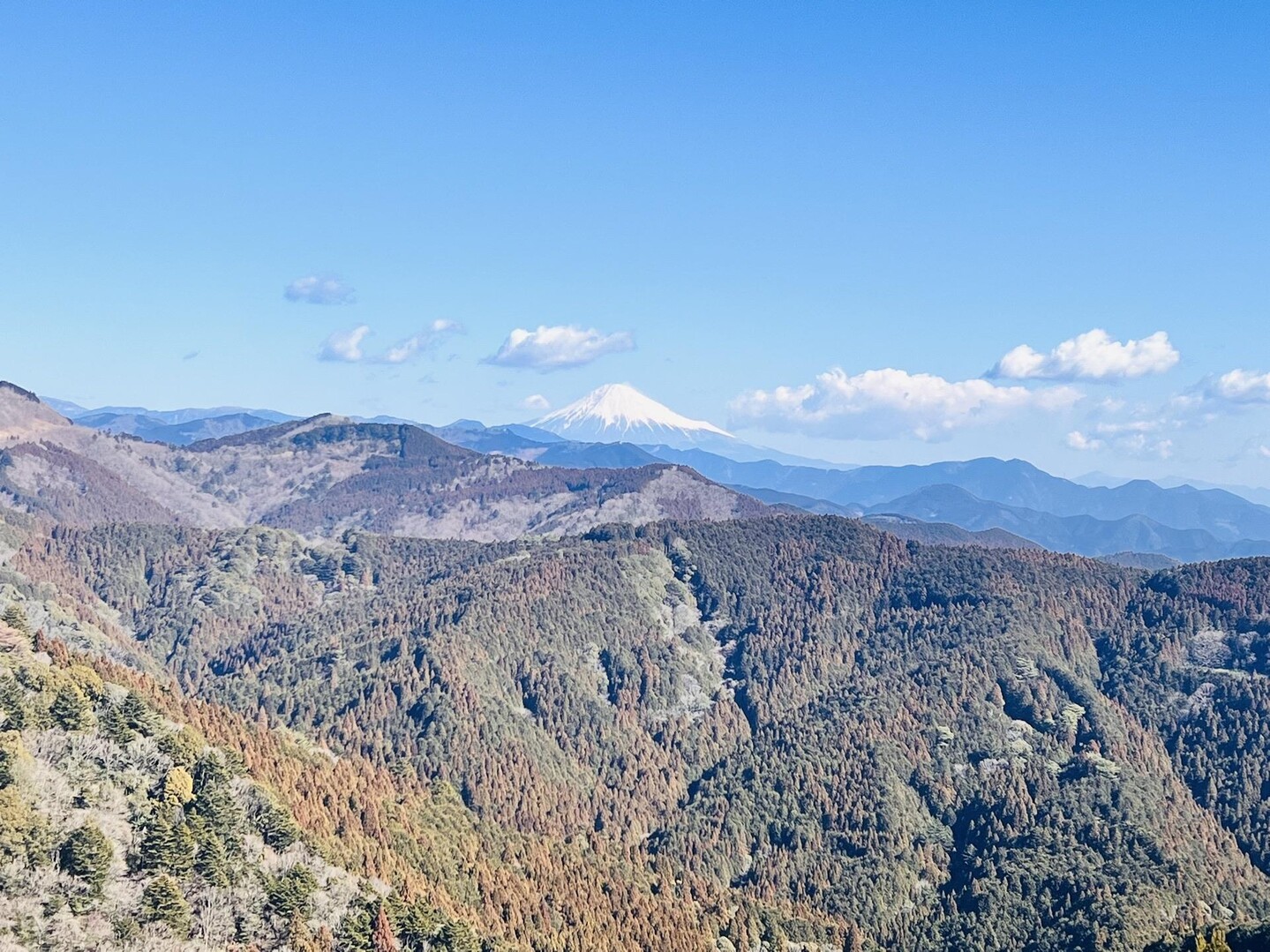 高根山 / ZUNさんの高根山・菩提山・高尾山の活動データ | YAMAP / ヤマップ
