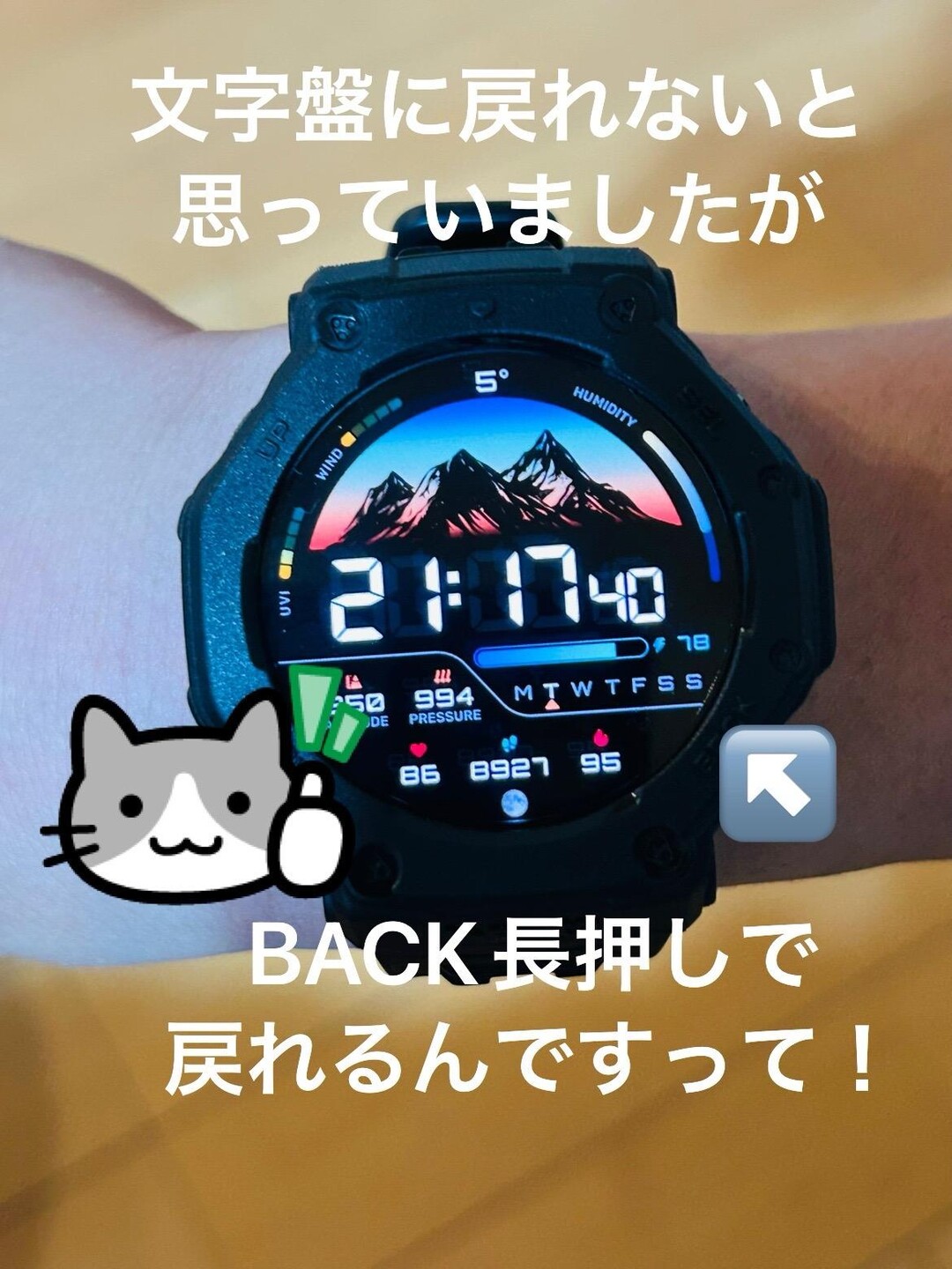 amazfit t-rex 3 今回は悪... / チルチルさんのモーメント | YAMAP / ヤマップ
