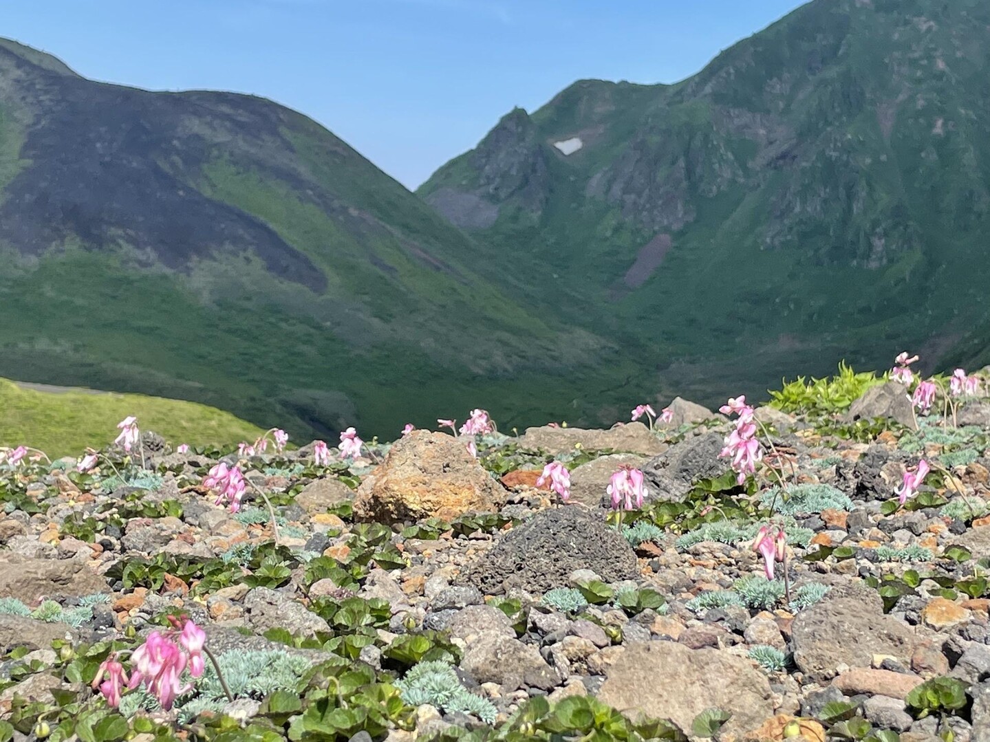 秋田駒ケ岳 / Ku-2さんの秋田駒ヶ岳・男女岳・貝吹岳の活動日記 | YAMAP / ヤマップ