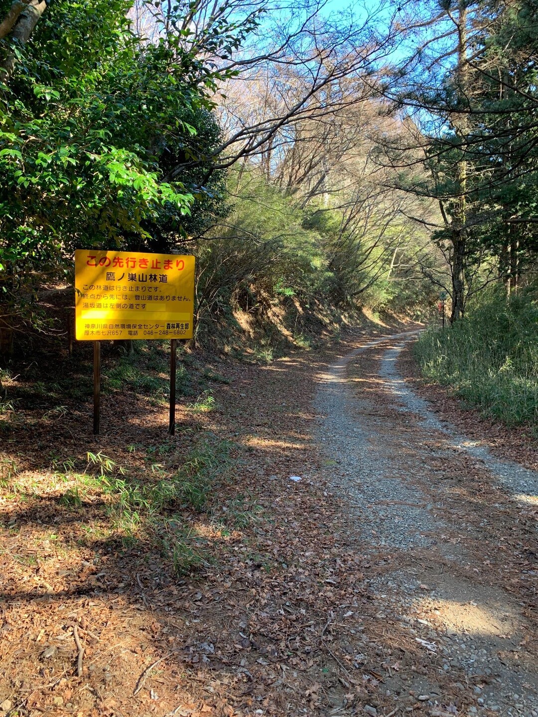 junさんの投稿したフィールドメモ | YAMAP / ヤマップ