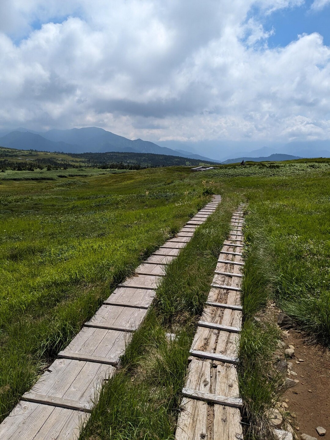 神楽ヶ峰・苗場山 / a24さんの苗場山・赤倉山・佐武流山の活動データ | YAMAP / ヤマップ