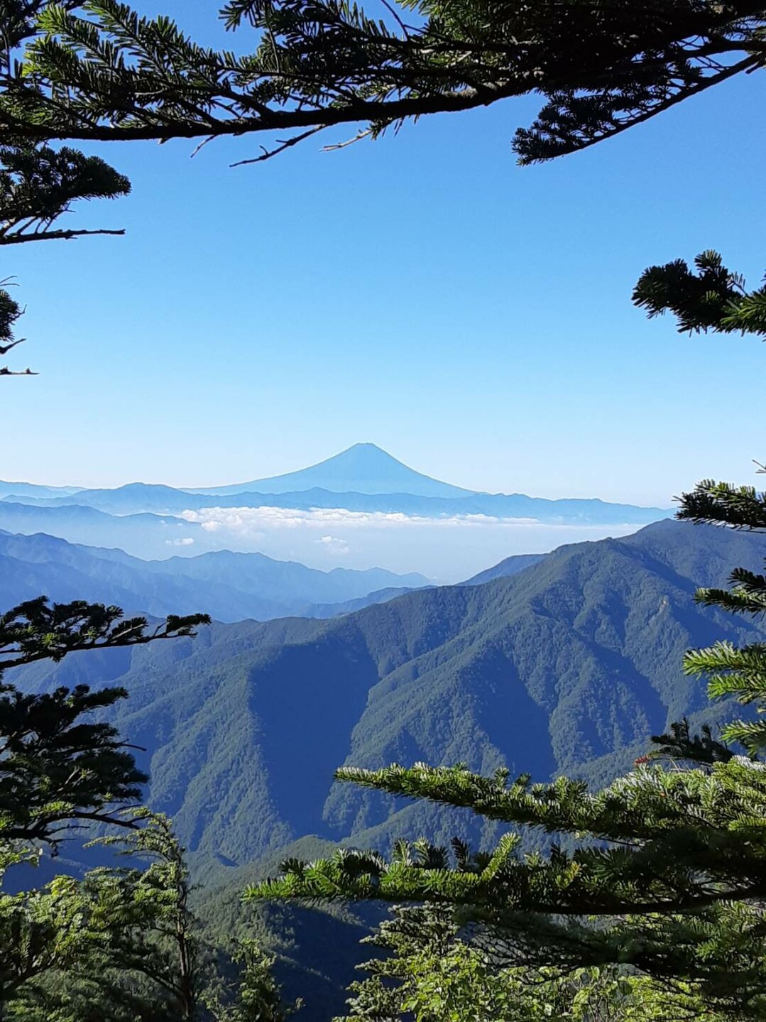 yuki のページ | YAMAP / ヤマップ