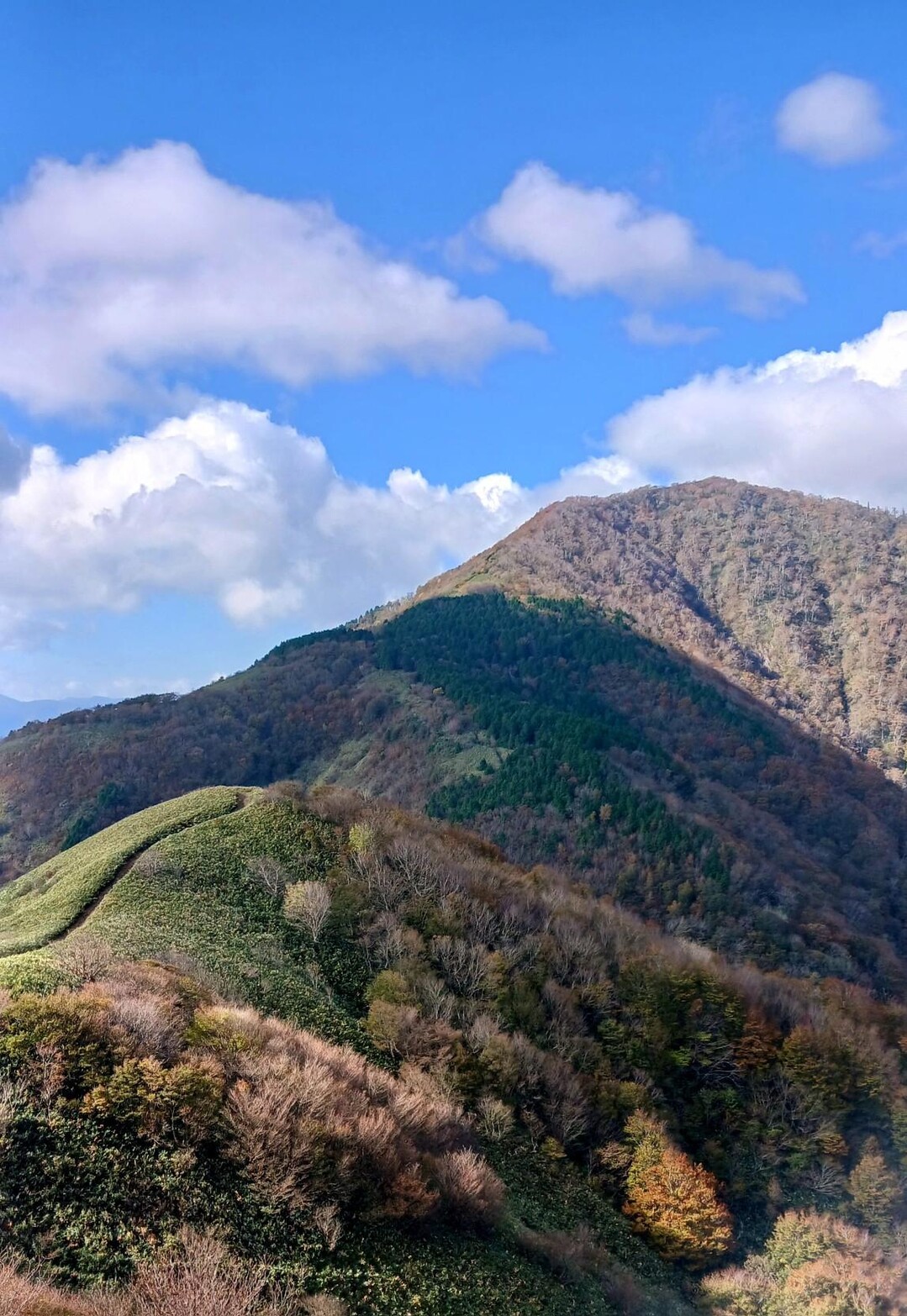 蒜山三山縦走⛰️⛰️⛰️ / naokorinさんの蒜山の活動データ | YAMAP / ヤマップ