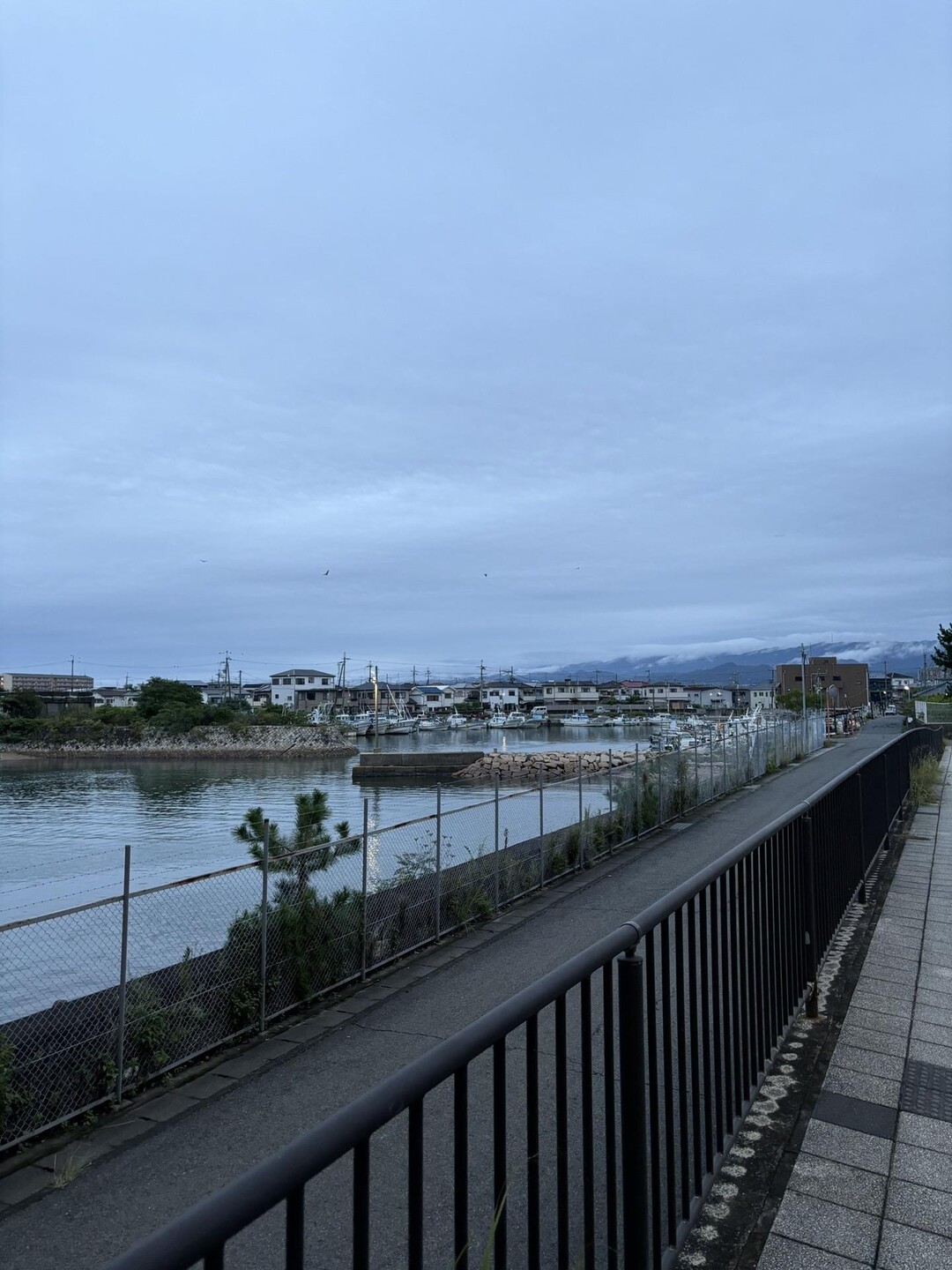 朝活〜☁️回復祈願ラン7-2024-10-05 / martさんのランニングの活動データ | YAMAP / ヤマップ