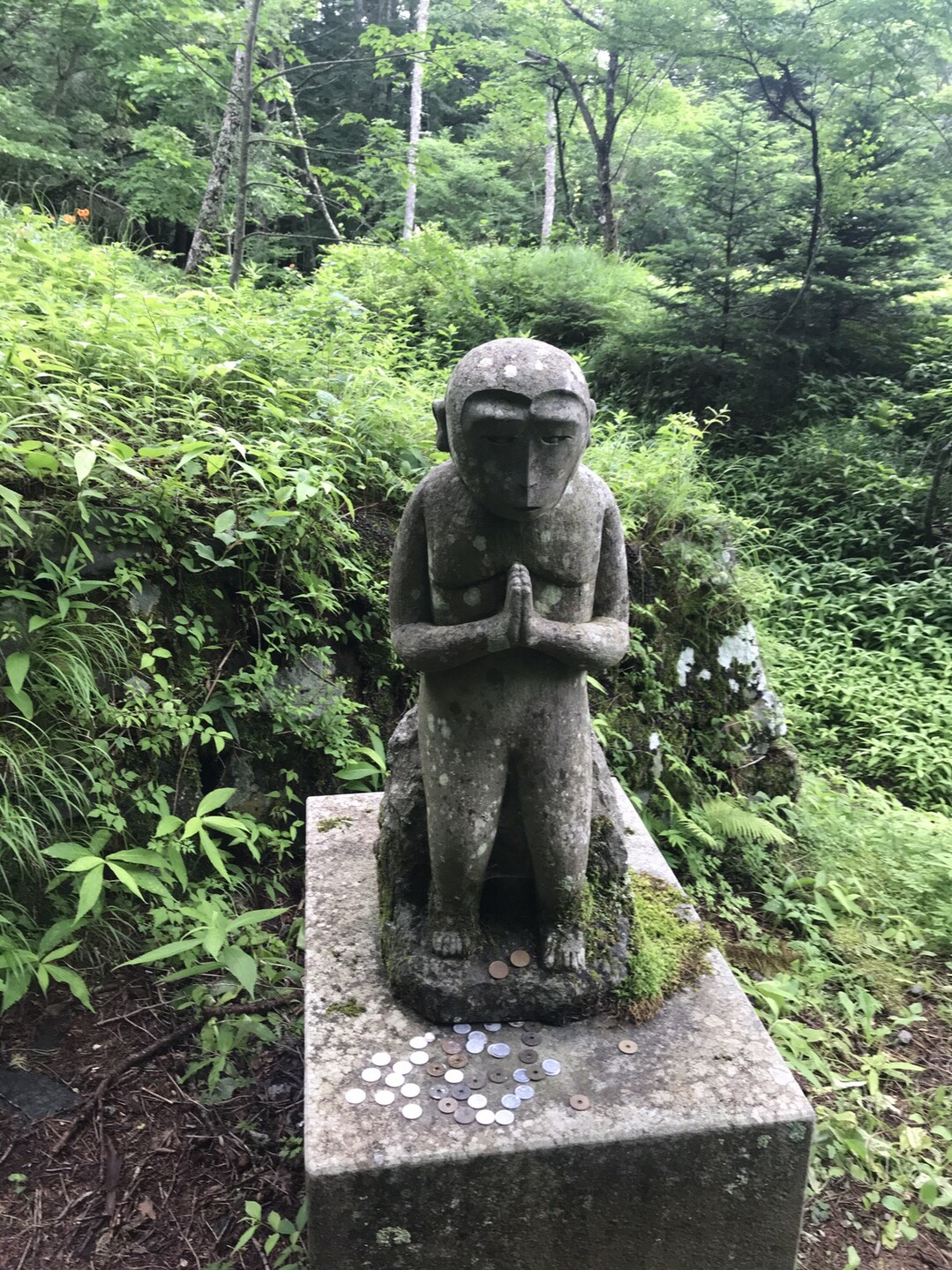 富士山5合目吉田口下り! / yamajazzさんの富士山の活動データ | YAMAP / ヤマップ