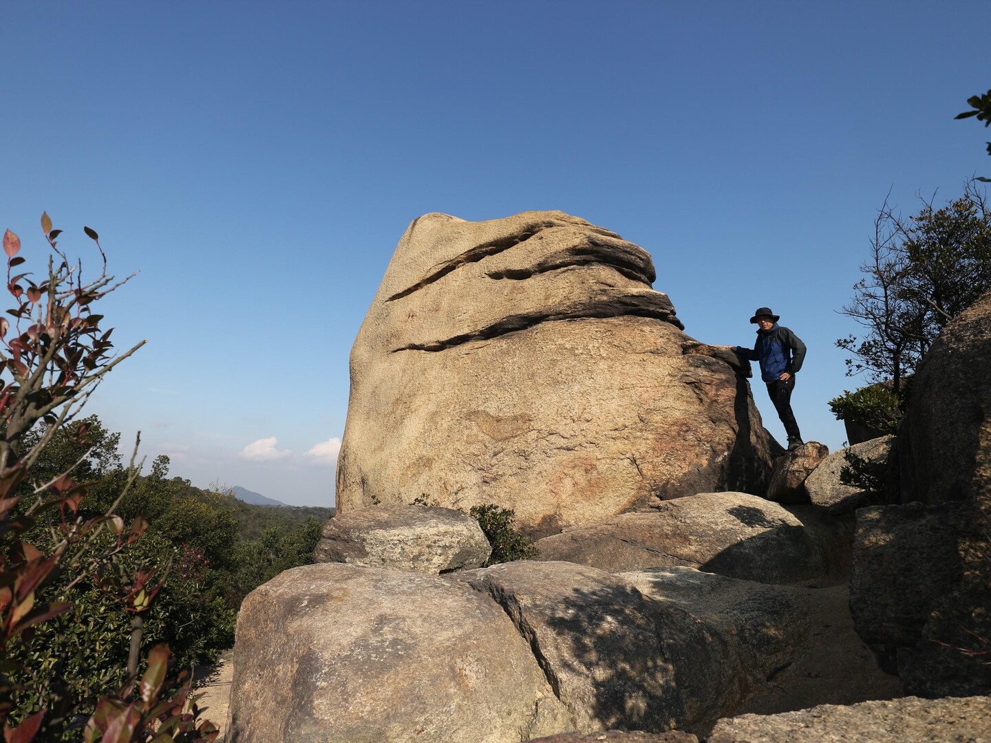 新割山(王子が岳)・矢出山・宮田山 / グッディ！さんの王子が岳・神登山・臥竜山の活動日記 | YAMAP / ヤマップ