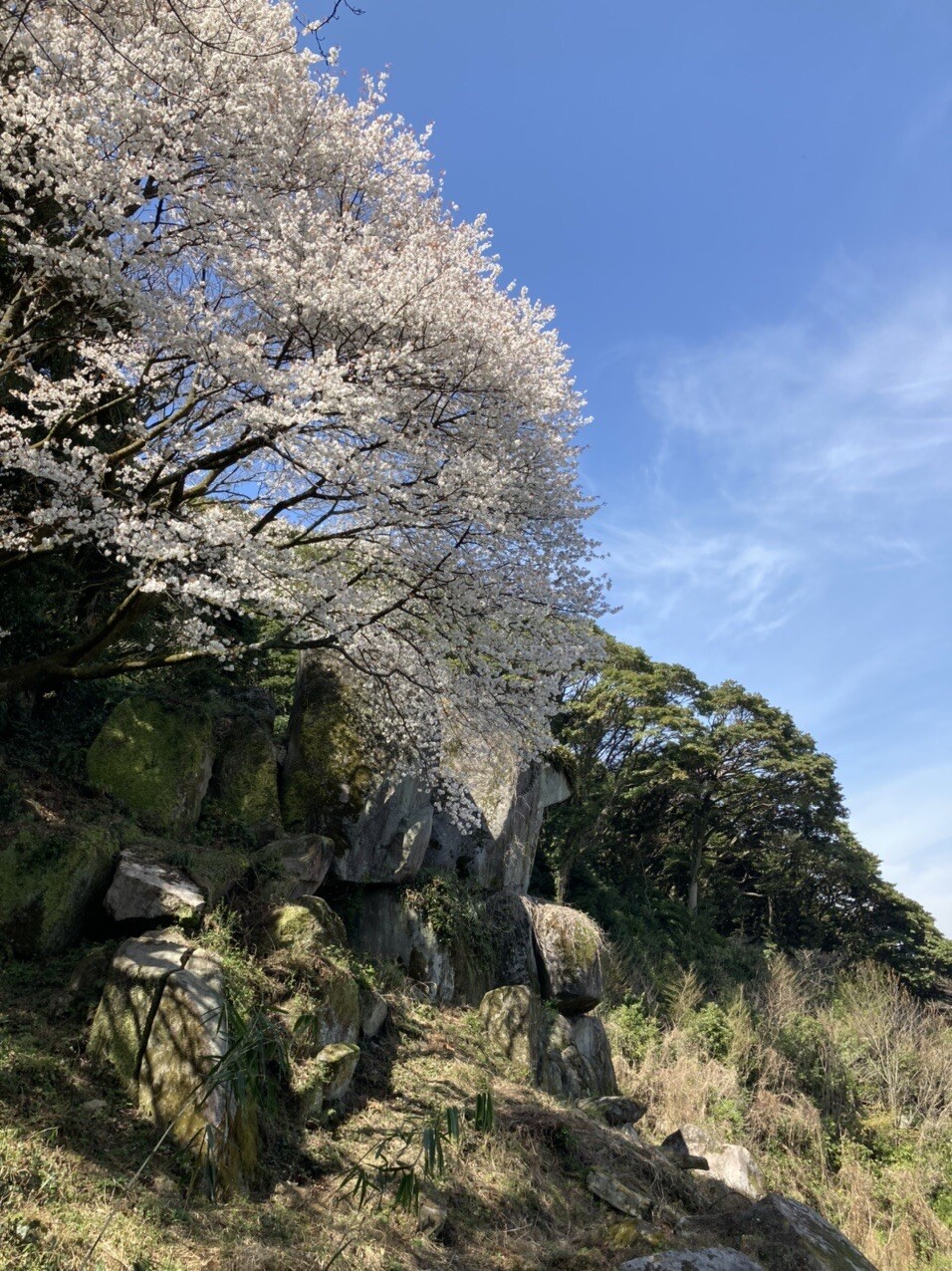 えっ、リハビリ貫山👀？ / Yosさんの平尾台・貫山・水晶山の活動データ | YAMAP / ヤマップ