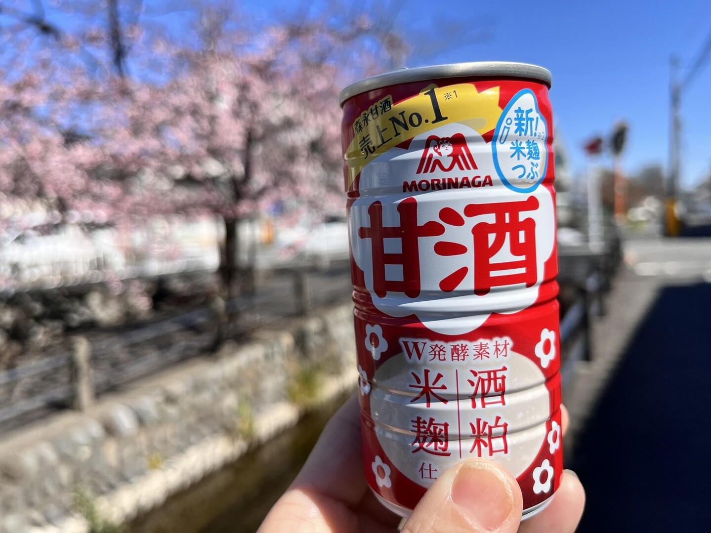 マッシュルームを求めて… 歩いていたら、... / opioさんのモーメント | YAMAP / ヤマップ