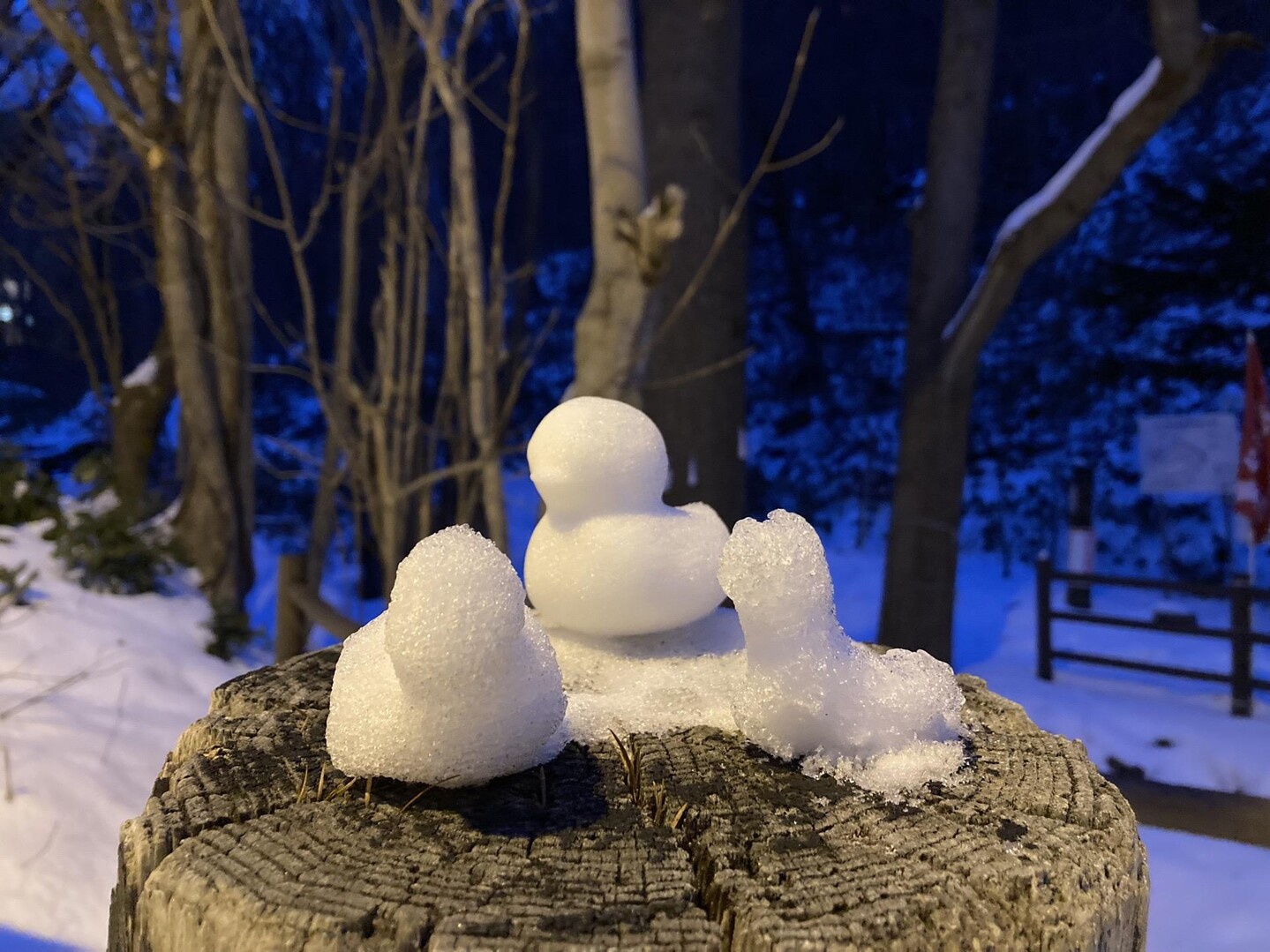朝活藻岩山。。。八百万の神様🙏🏼 / 2525bbさんの藻岩山の活動データ | YAMAP / ヤマップ