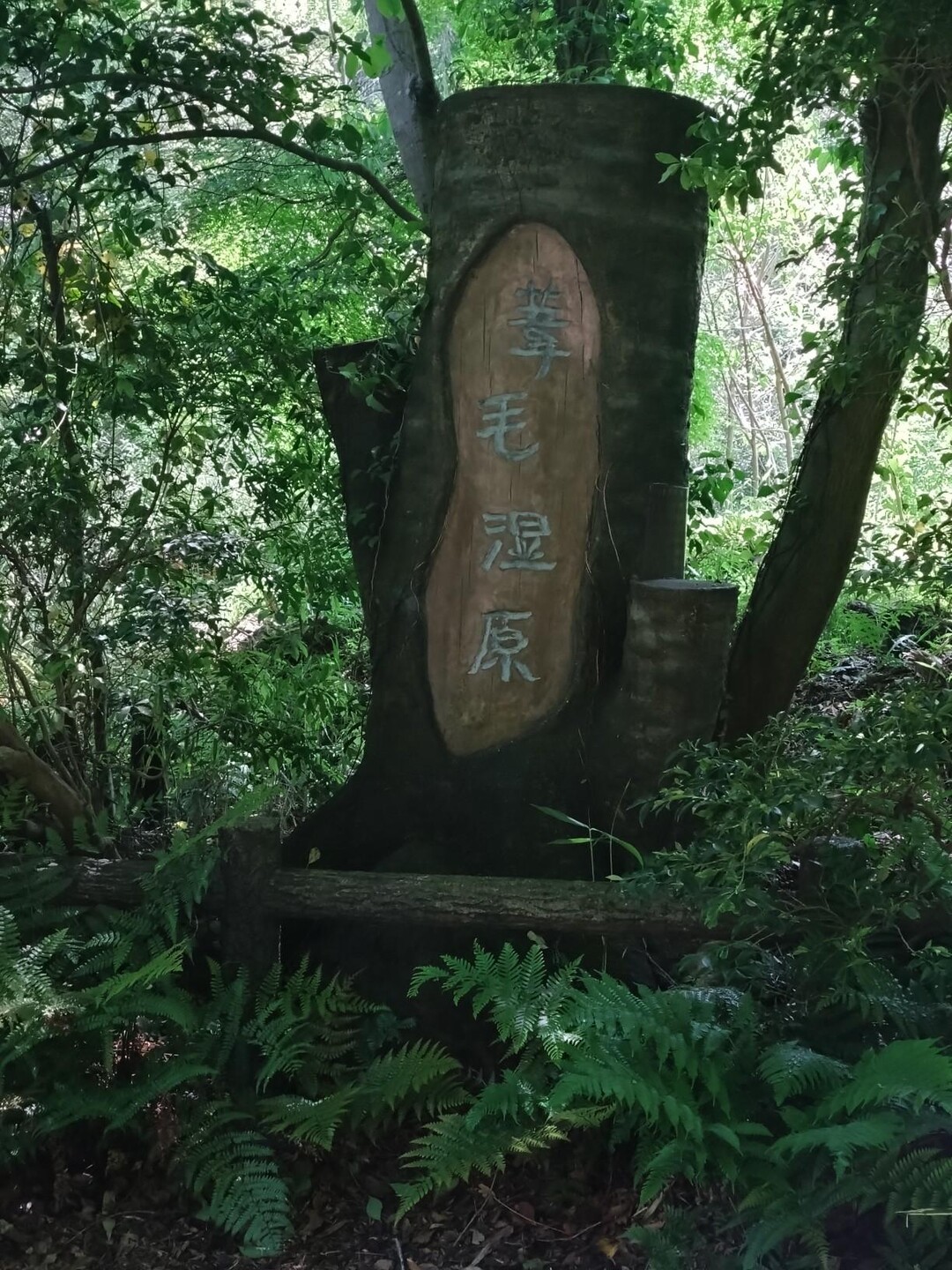 雲谷山・座談山・船形山・神石山 / MIOさんの坊ヶ峰・石巻山・神石山・葦毛湿原の活動データ | YAMAP / ヤマップ