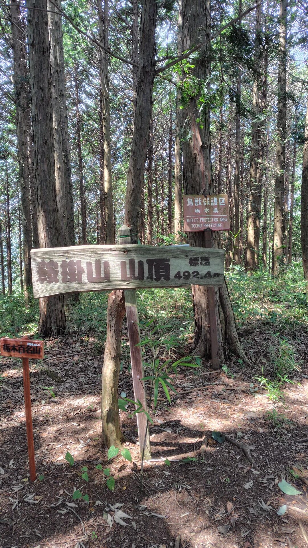 長倉山・鞍掛山・シゲト山・540P・斑根石山・古賀志山・坊主山 / hide159さんの古賀志山・赤岩山・鞍掛山・男抱山・半蔵山の活動データ | YAMAP / ヤマップ