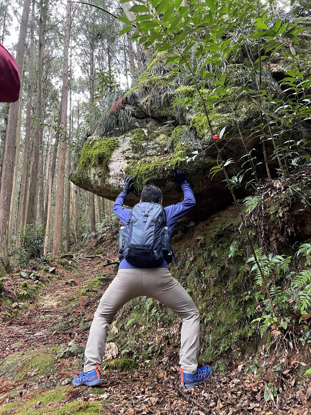 徳島チームと大滝山🪨 / mipiさんの大滝山（大獄山）の活動データ | YAMAP / ヤマップ