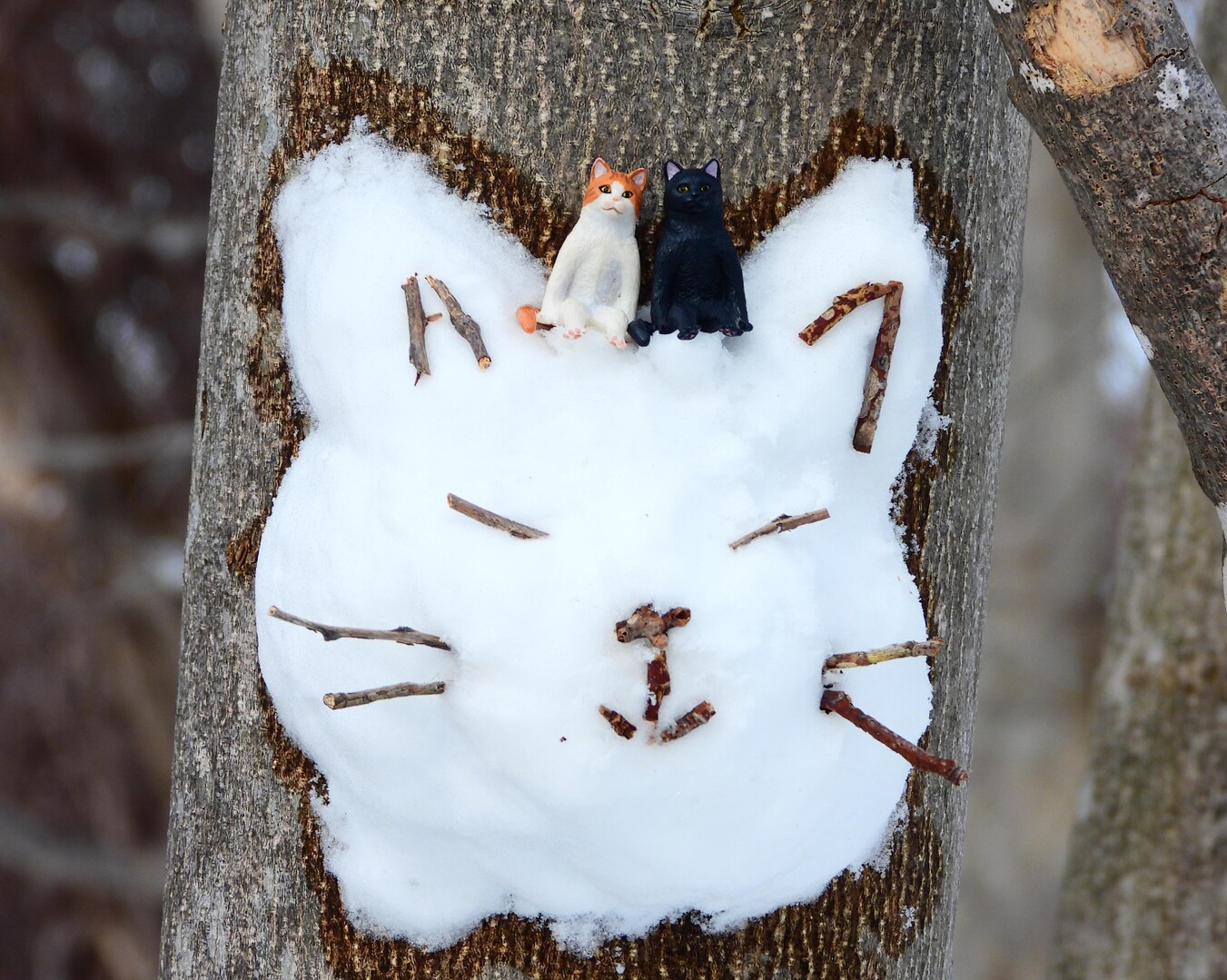 山鼻からソリビュン♪ / pon(夫) ＆ 連れ(妻)さんの札幌市の活動データ | YAMAP / ヤマップ