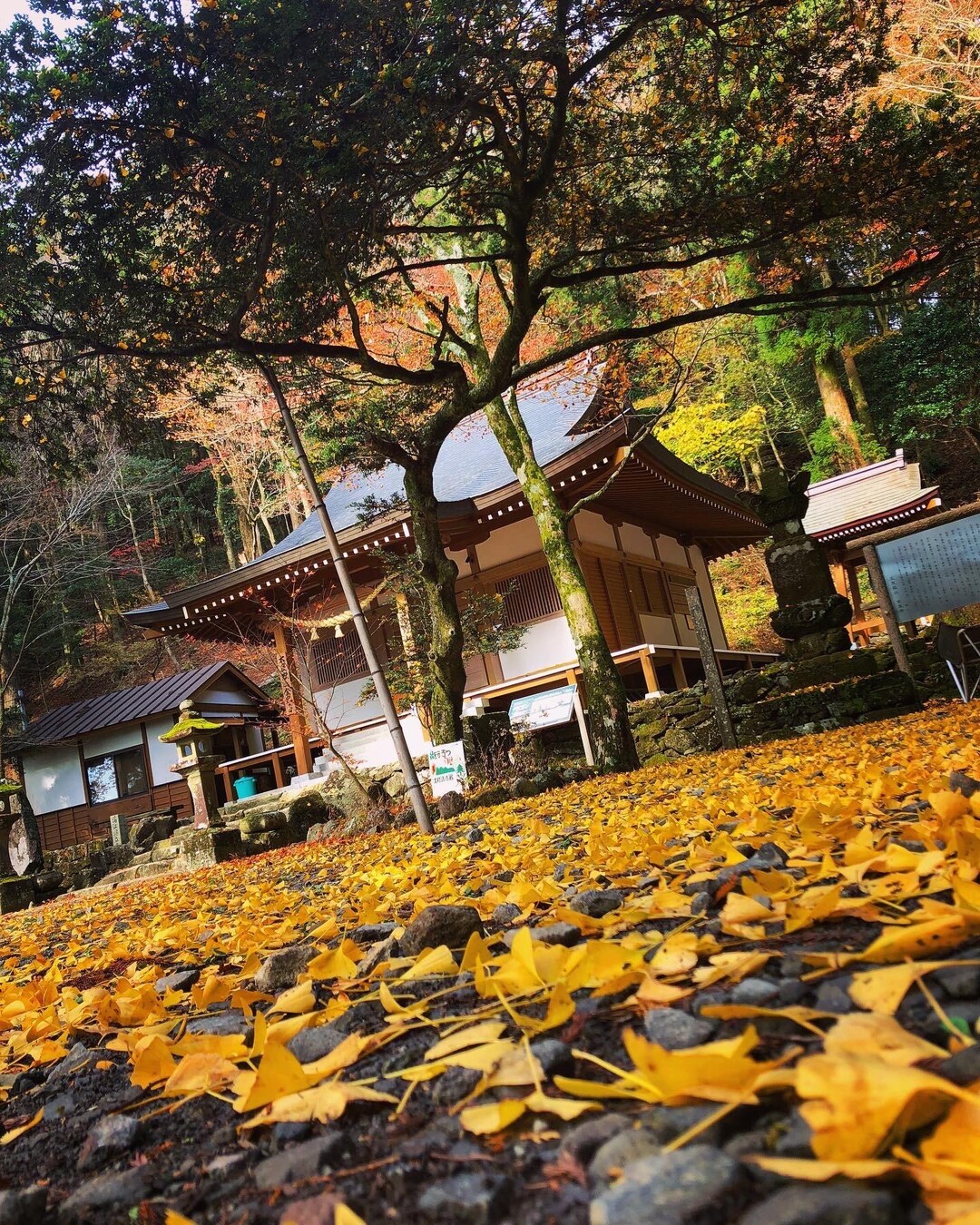 紅葉の時期の金泉寺🍁 冬の多良岳も楽し... / ksn さんのモーメント | YAMAP / ヤマップ