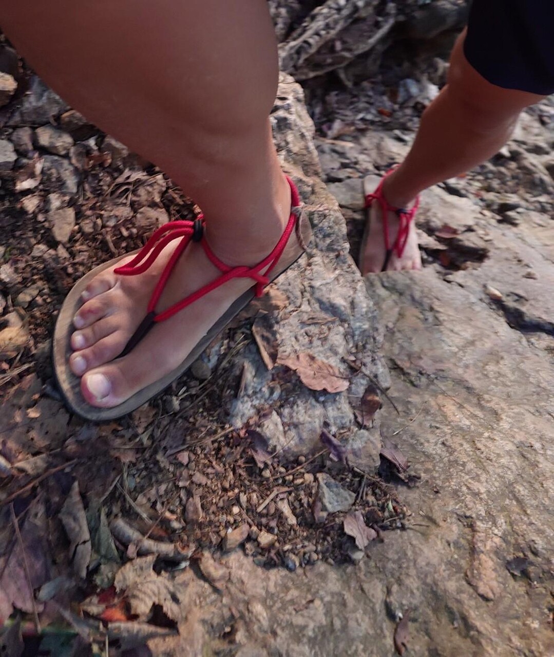 11月スタート 26分登頂 / ta2さんの鳴神山・吾妻山の活動データ | YAMAP / ヤマップ