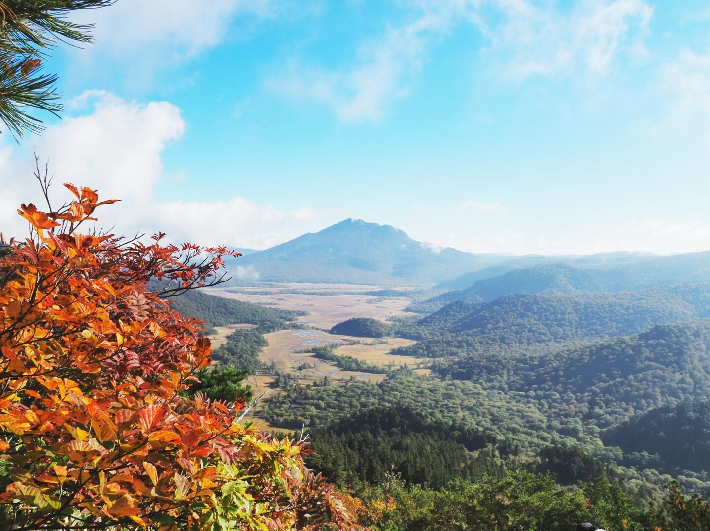 尾瀬たびDAY3 至仏山・小至仏山 / たけうさんの尾瀬・燧ヶ岳の活動データ | YAMAP / ヤマップ