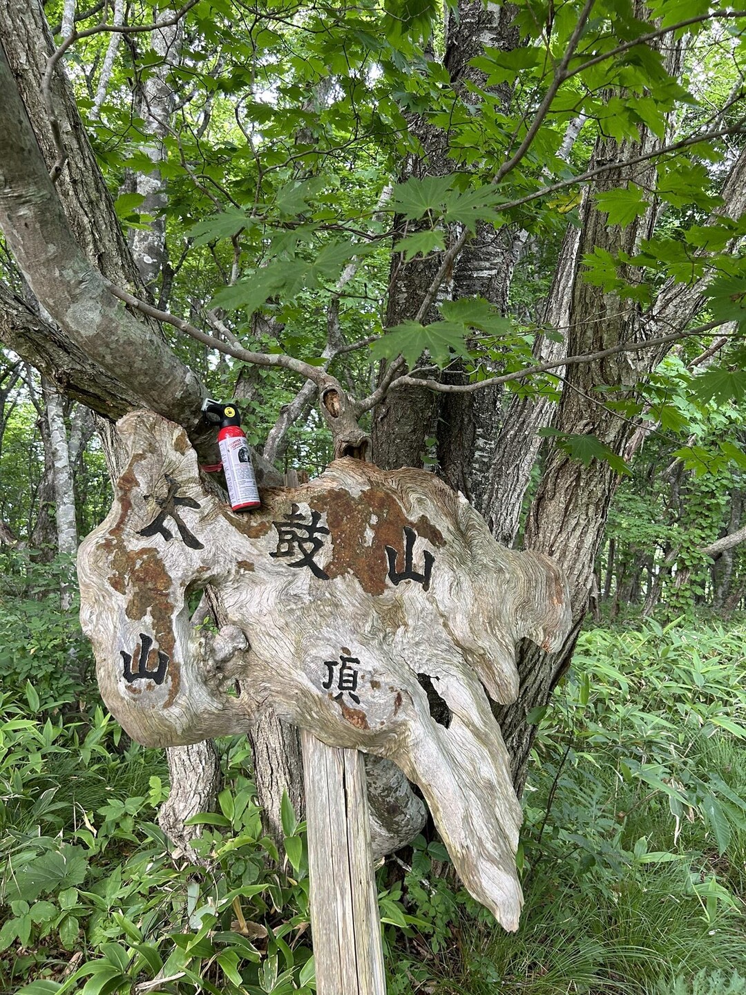 太鼓山 / KMさんの太鼓山の活動データ | YAMAP / ヤマップ