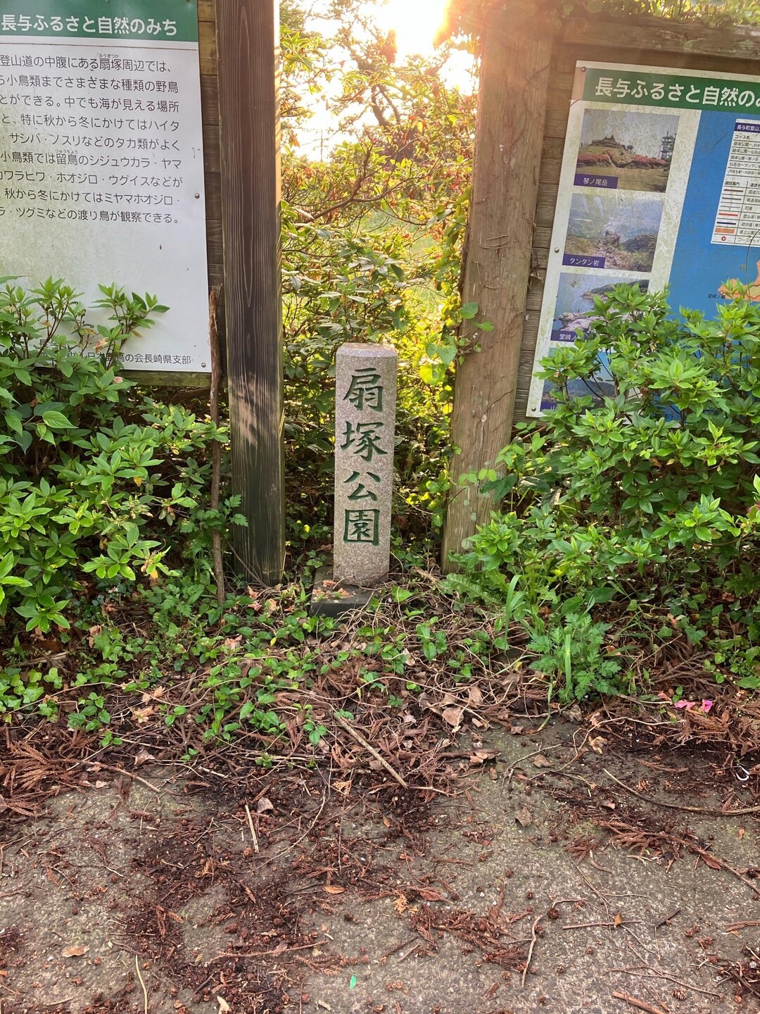 20240428 タンタン岩3 / としぞうさんの琴ノ尾岳の活動データ | YAMAP / ヤマップ