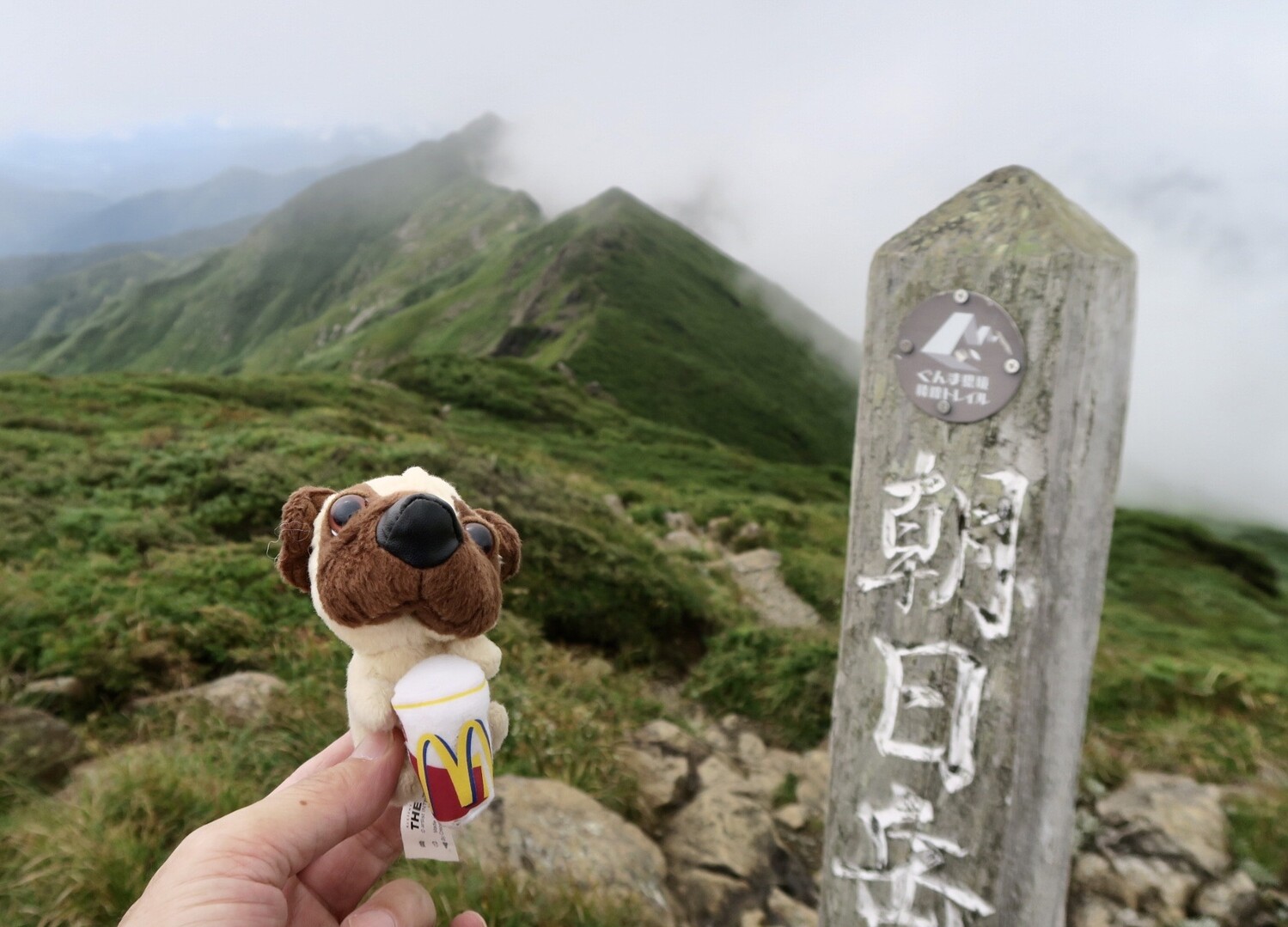 笠ヶ岳・朝日岳 ピストン / Yosshyさんの谷川岳・七ツ小屋山・大源太山の活動データ | YAMAP / ヤマップ
