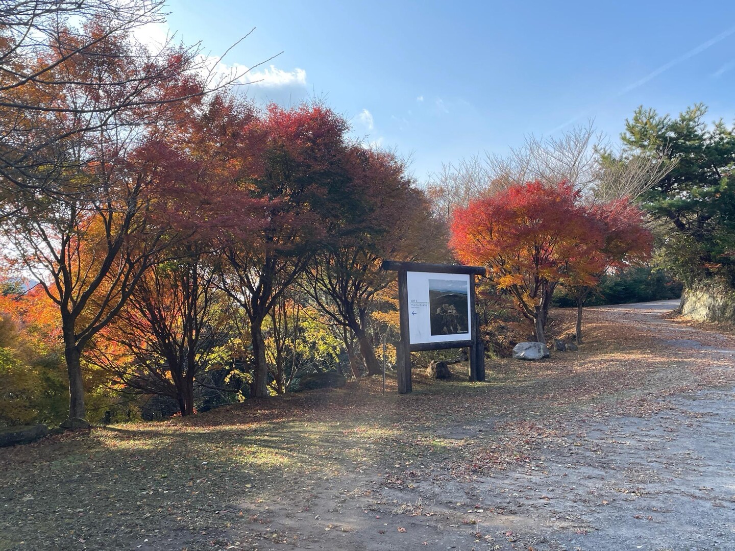 千燈岳 / もちゃっくさんの六郷満山（国東半島）の活動データ | YAMAP / ヤマップ
