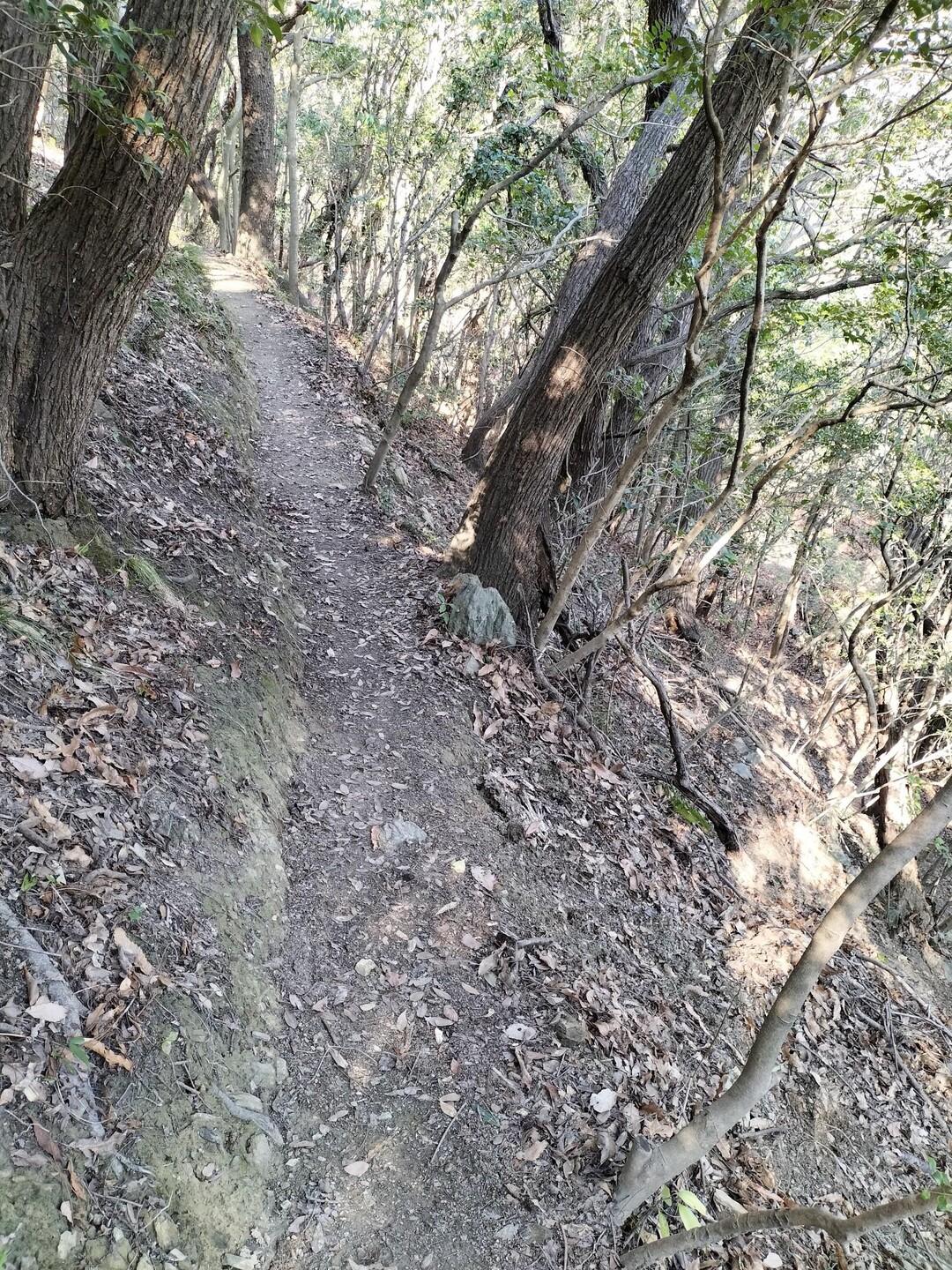 Takuさんの投稿したフィールドメモ | YAMAP / ヤマップ