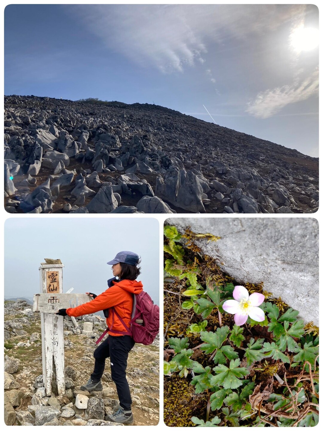 絶景と花の霊仙山🌼 / hiroponさんの霊仙山の活動データ | YAMAP / ヤマップ