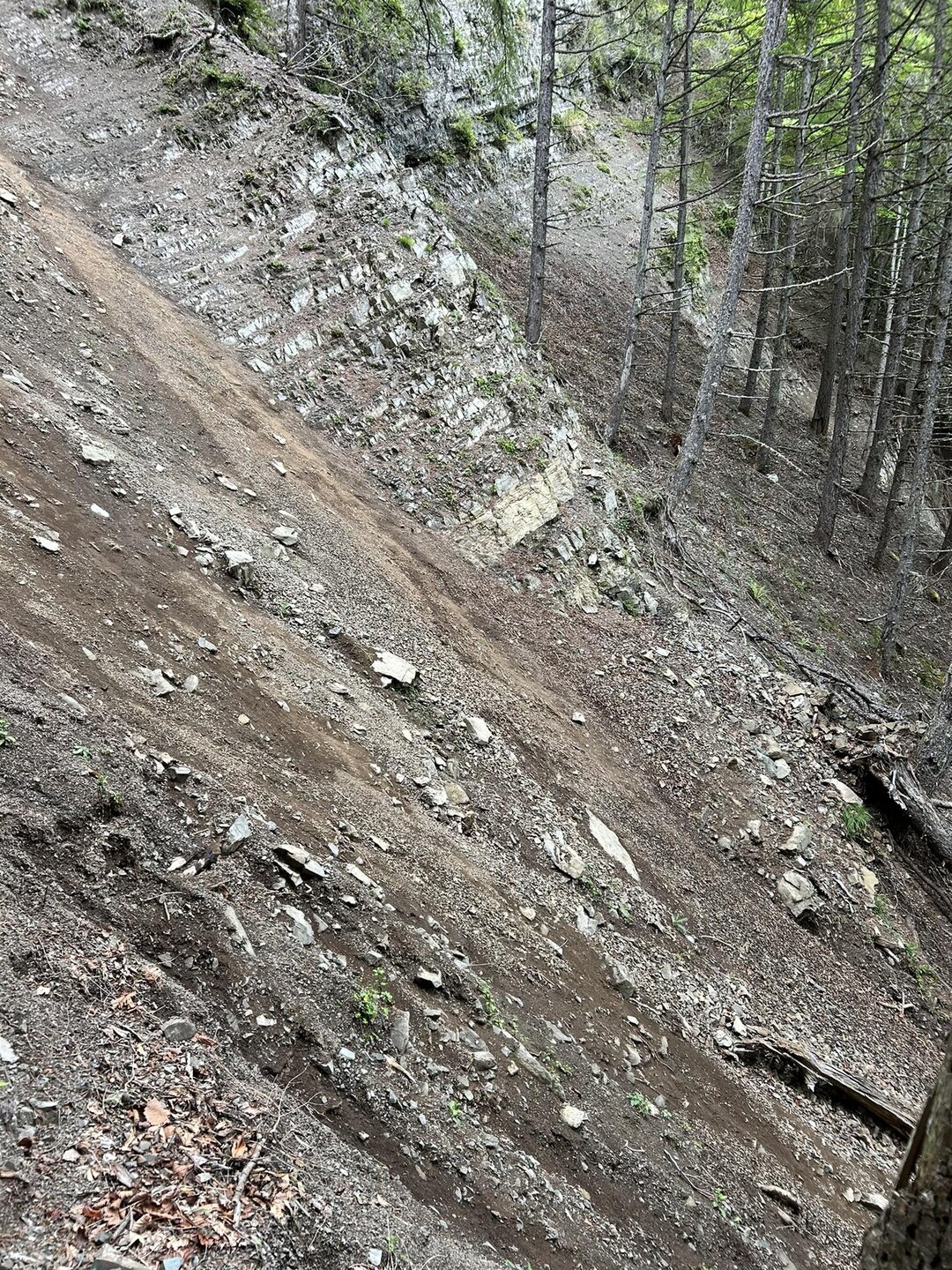 Co-CHeさんの投稿したフィールドメモ | YAMAP / ヤマップ