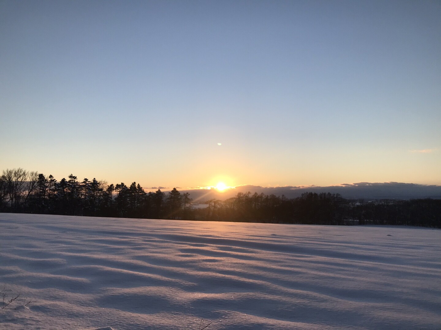 基本的に冬は無理しないので最近は低山ばか... / fu-miさんのモーメント | YAMAP / ヤマップ