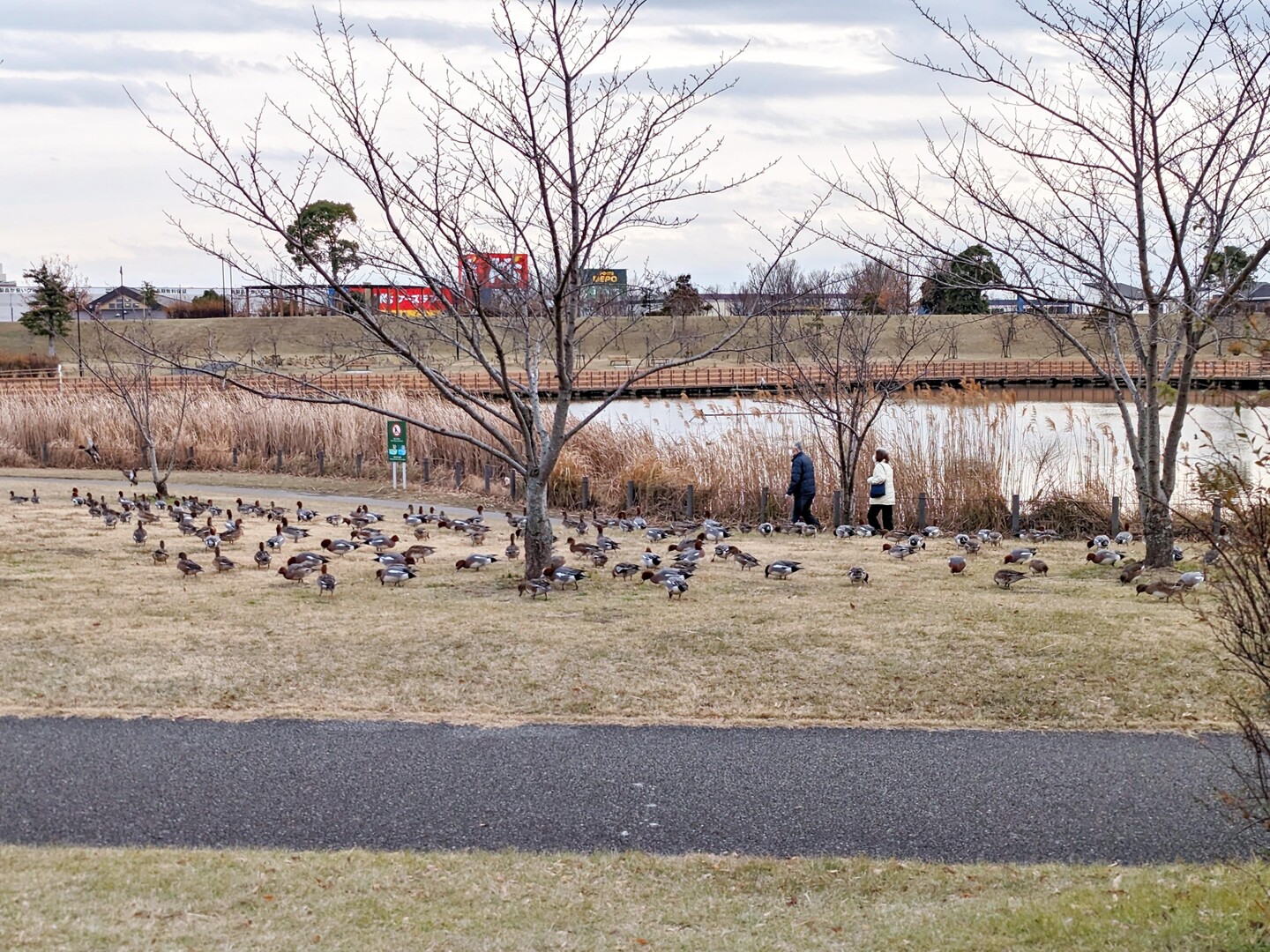 X'mas in GOI chika ~🎅 / レフ さんの千葉市の活動データ | YAMAP / ヤマップ