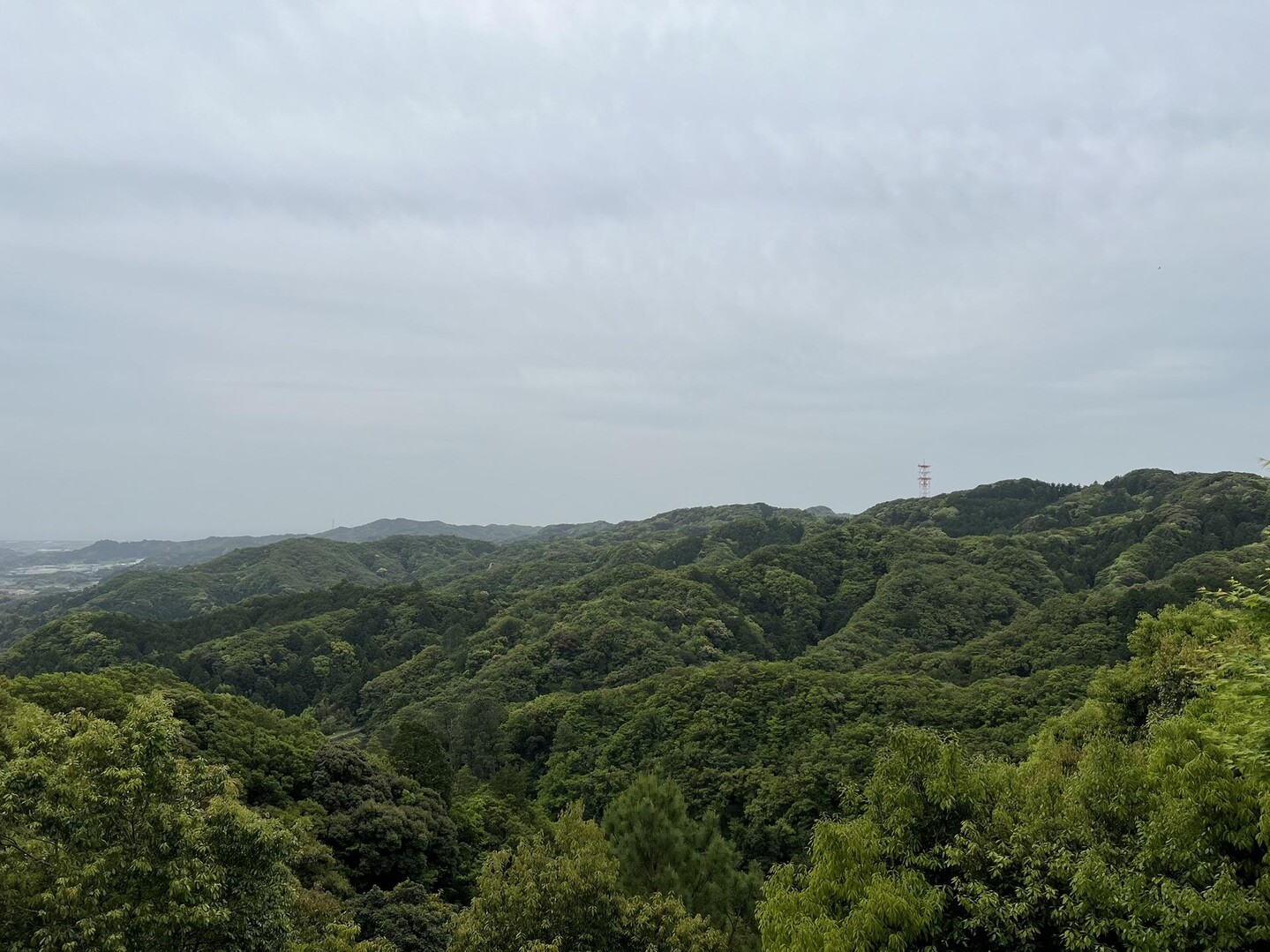 三沢山・小笠山 / sigeさんの小笠山の活動日記 | YAMAP / ヤマップ
